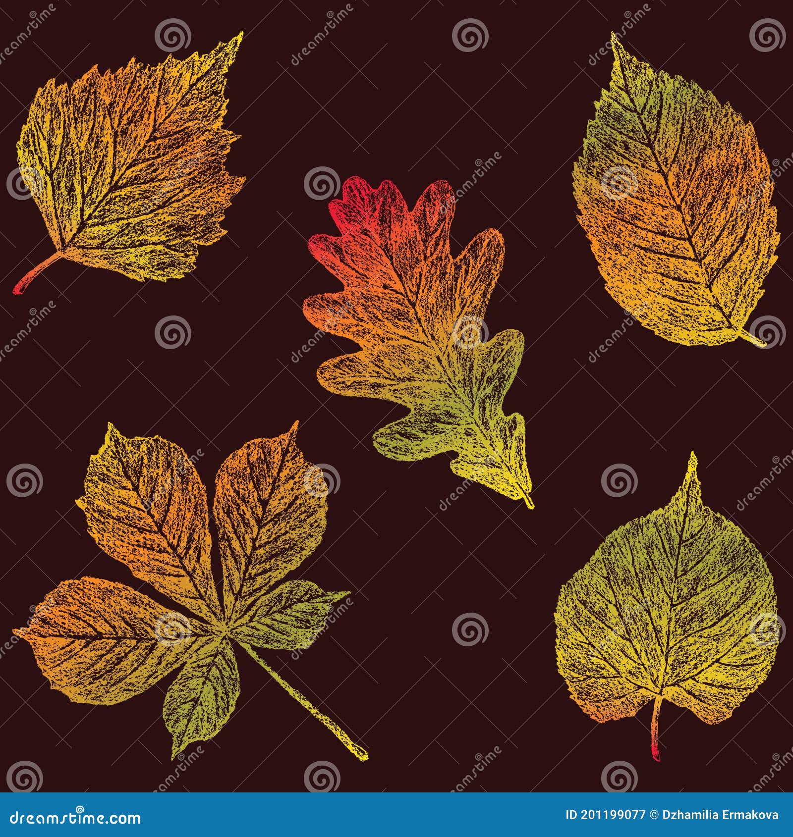 Vector Image of Autun Leaves Different Deciduous Trees Stock Vector ...