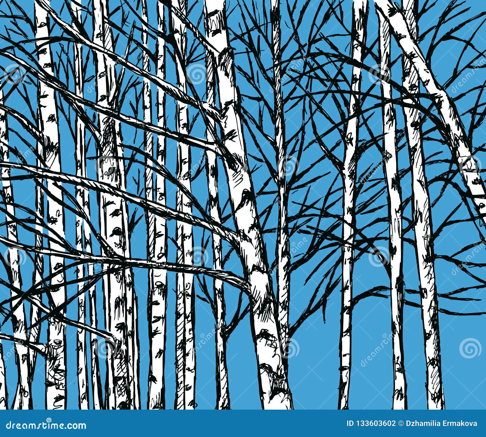 Vector Image of a Birch Grove in the Cold Season Stock Vector ...