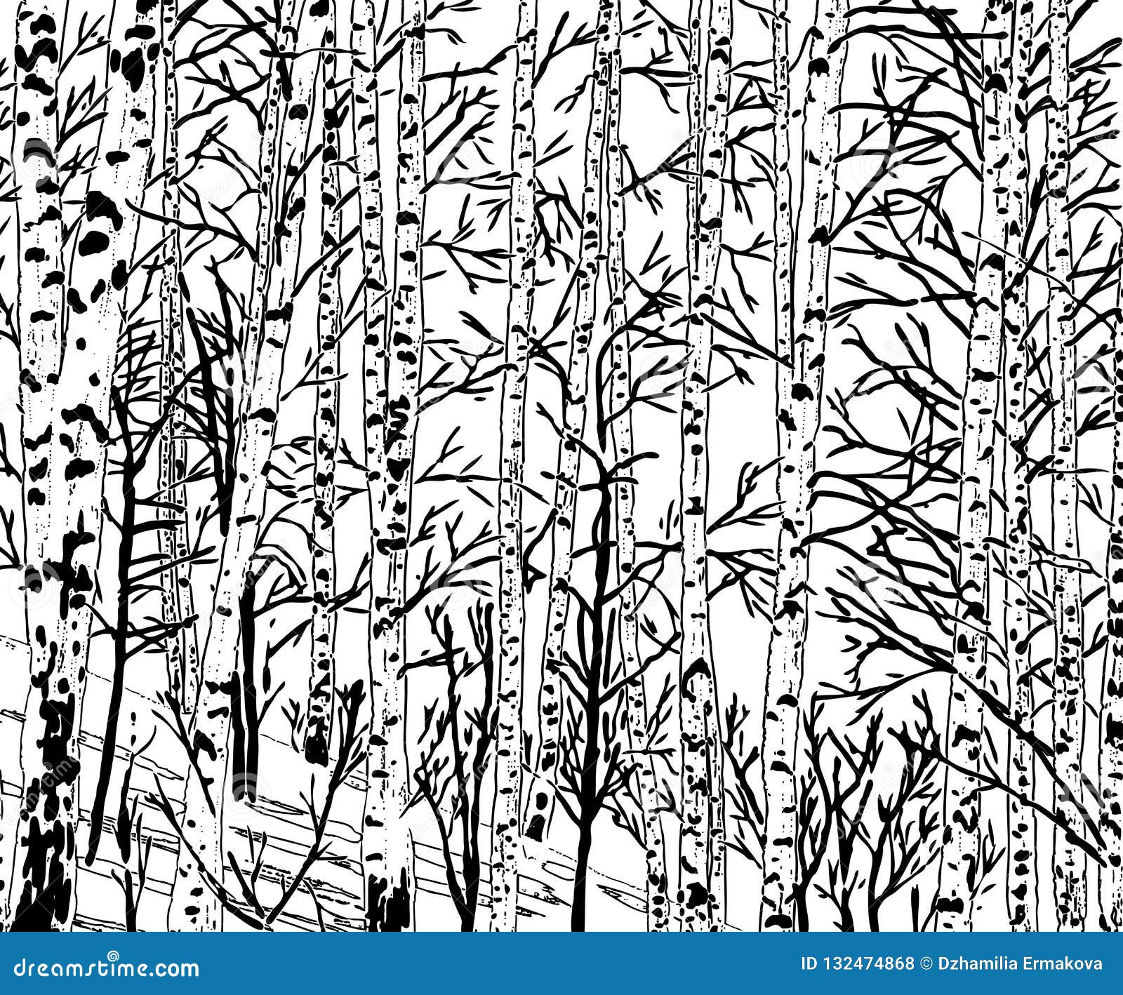 Vector Image of a Birch Grove in the Cold Season Stock Vector ...