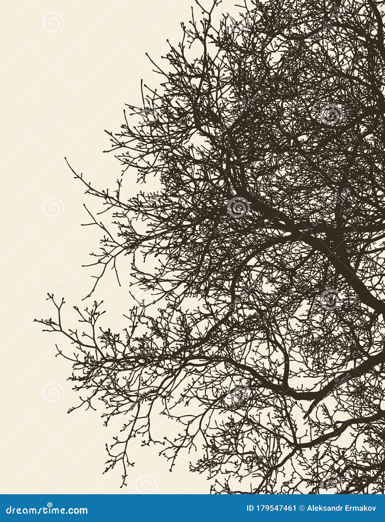 Vector Image of Branches Deciduous Tree in Cold Season Stock Vector ...