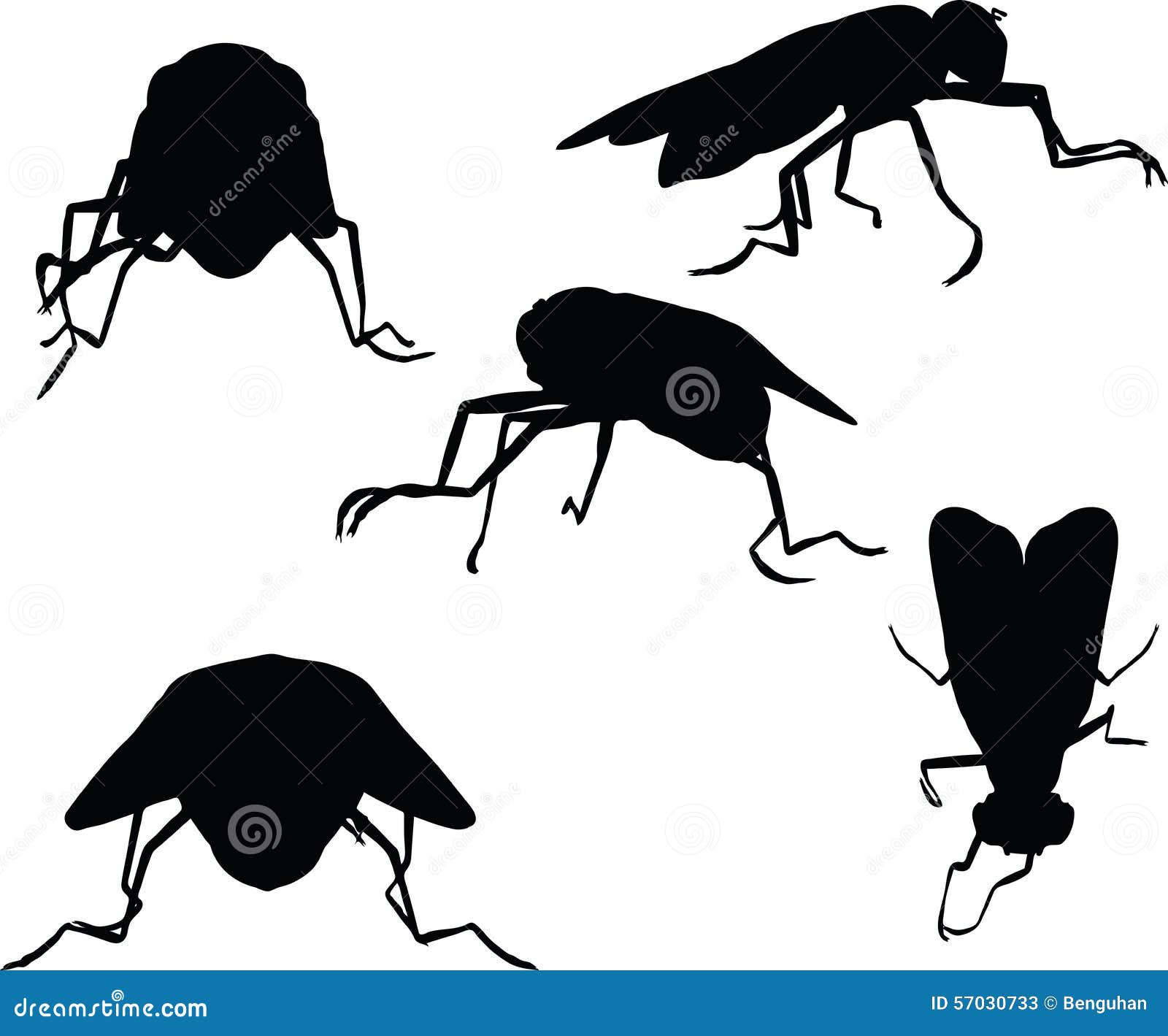 Vector Image - Bug Fly Silhouette on White Background Stock Vector ...