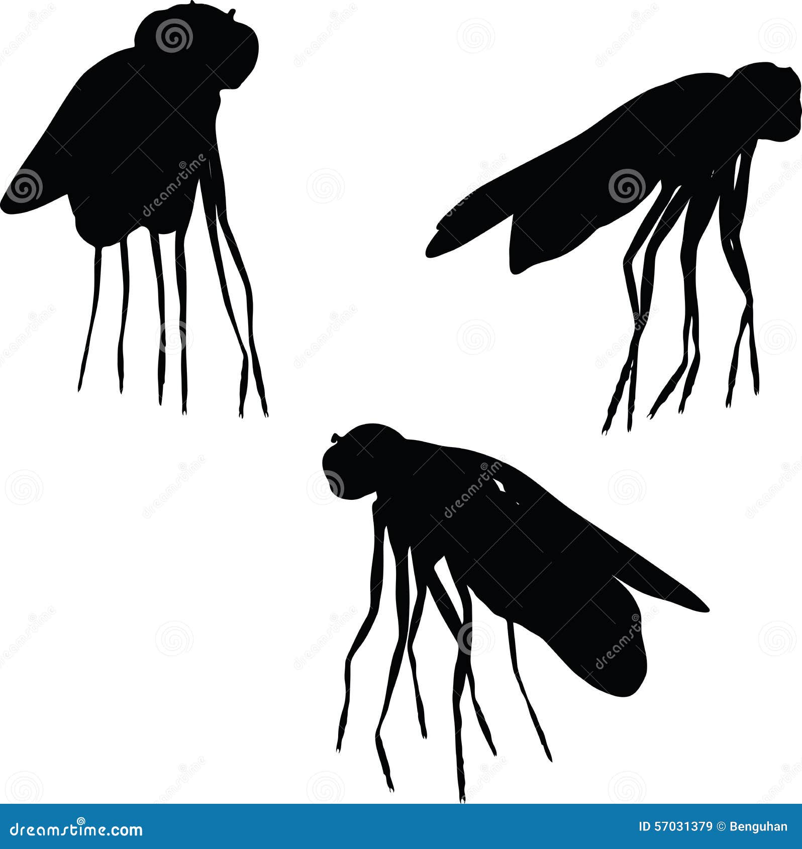 Bug Fly Silhouette Stock Illustrations – 14,077 Bug Fly Silhouette ...