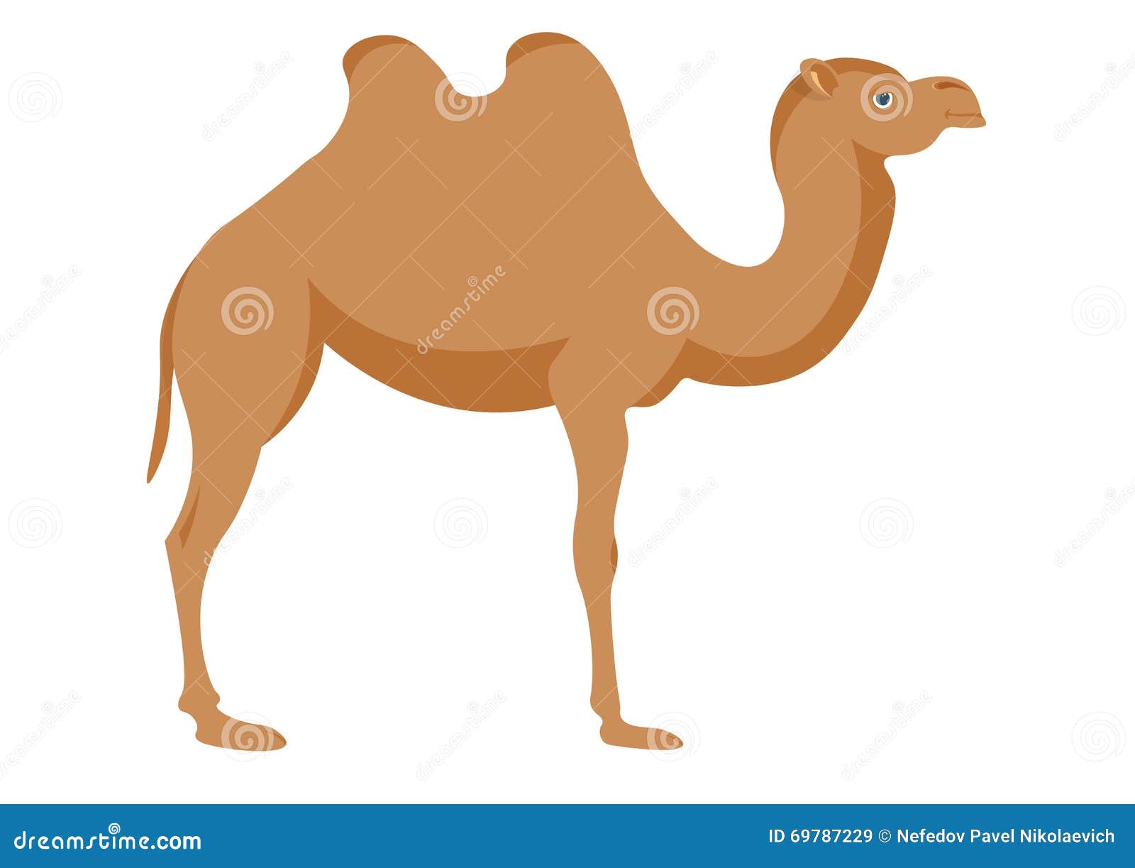 Cape Dune Mole-rat Bathyergus Suillus In Side View, Showing Its Teeth ...