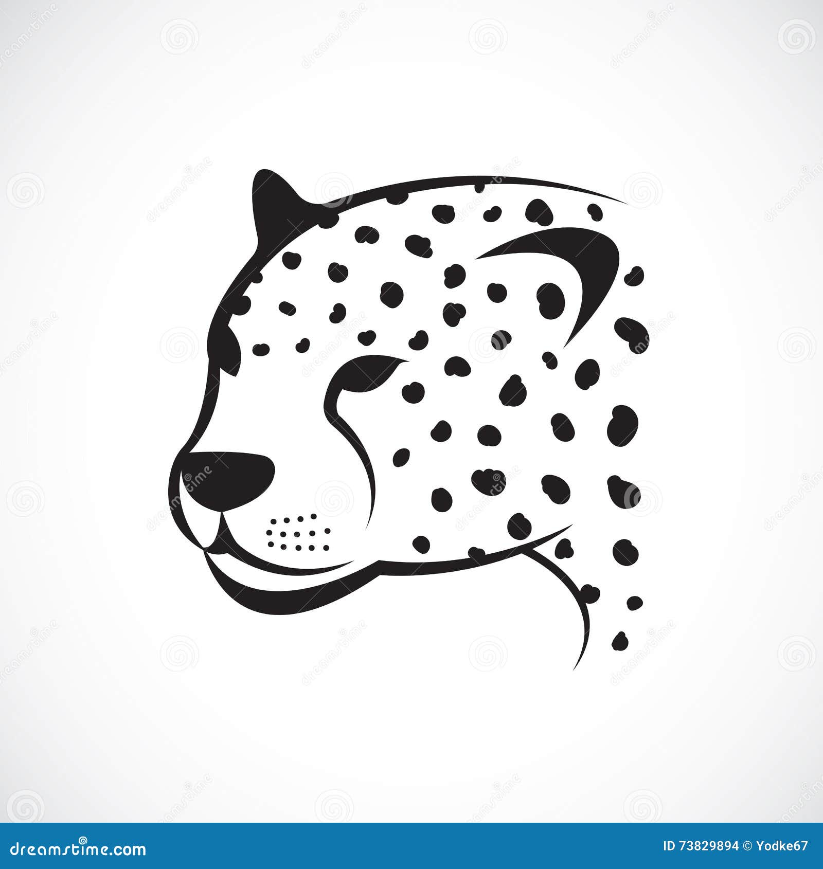 Cheetah Face Vector Illustration | CartoonDealer.com #99735500