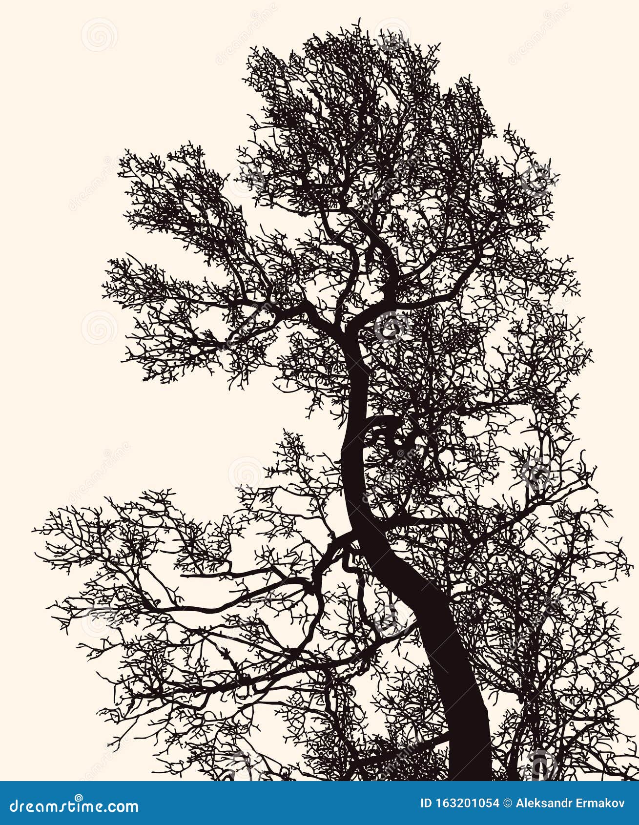 Vector Image of Deciduous Tree Silhouette in Winter Stock Vector ...