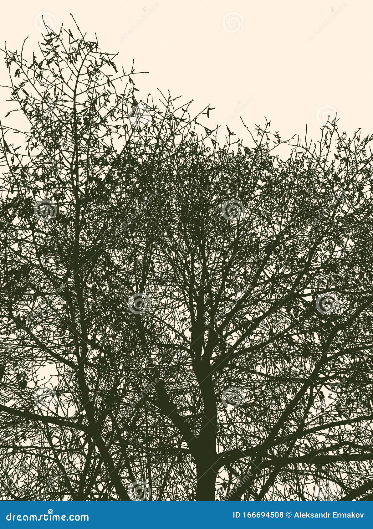 Vector Image of Deciduous Tree Silhouette in Winter Forest Stock Vector ...