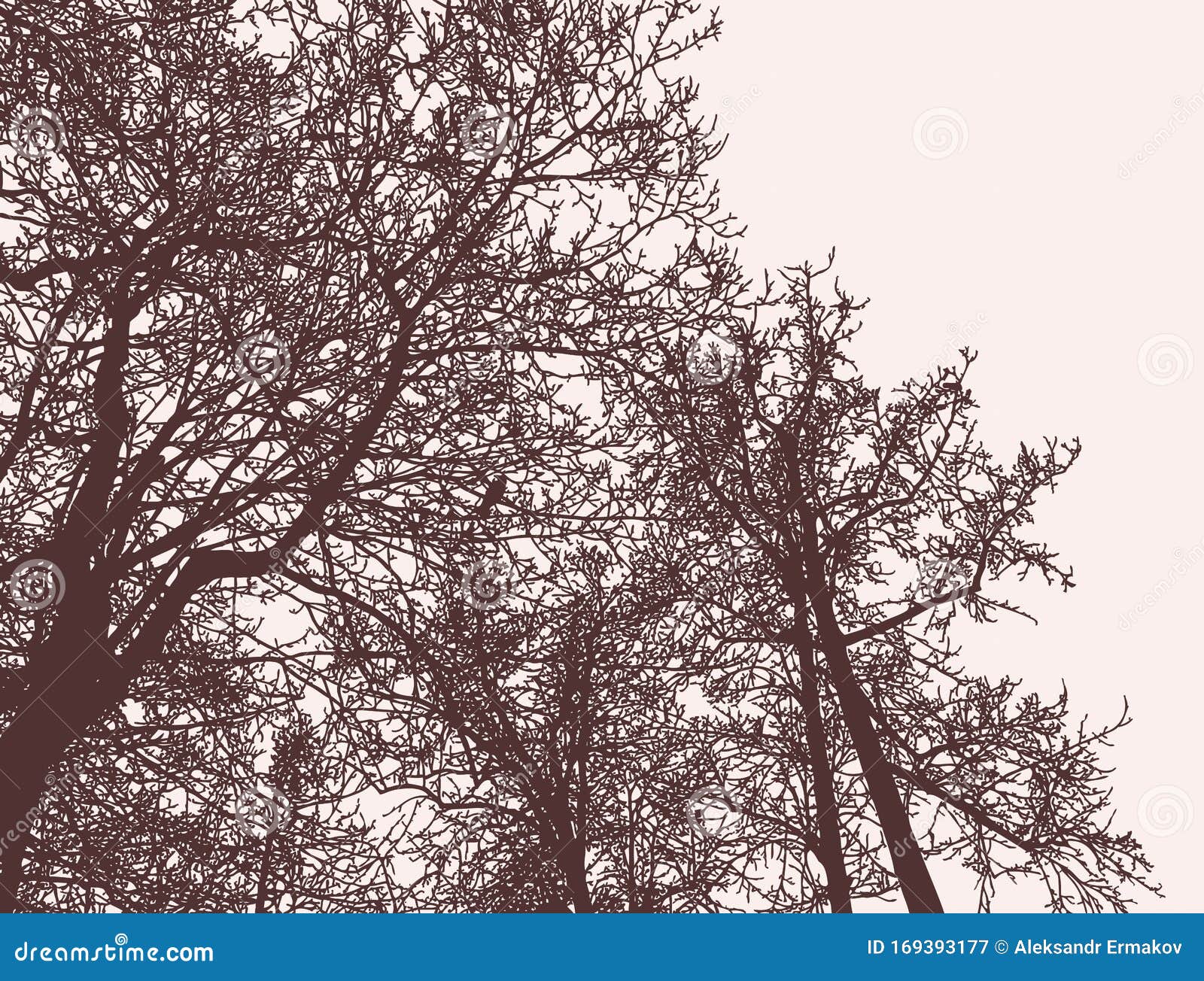 Vector Image of Deciduous Trees Silhouettes in Winter Forest Stock ...