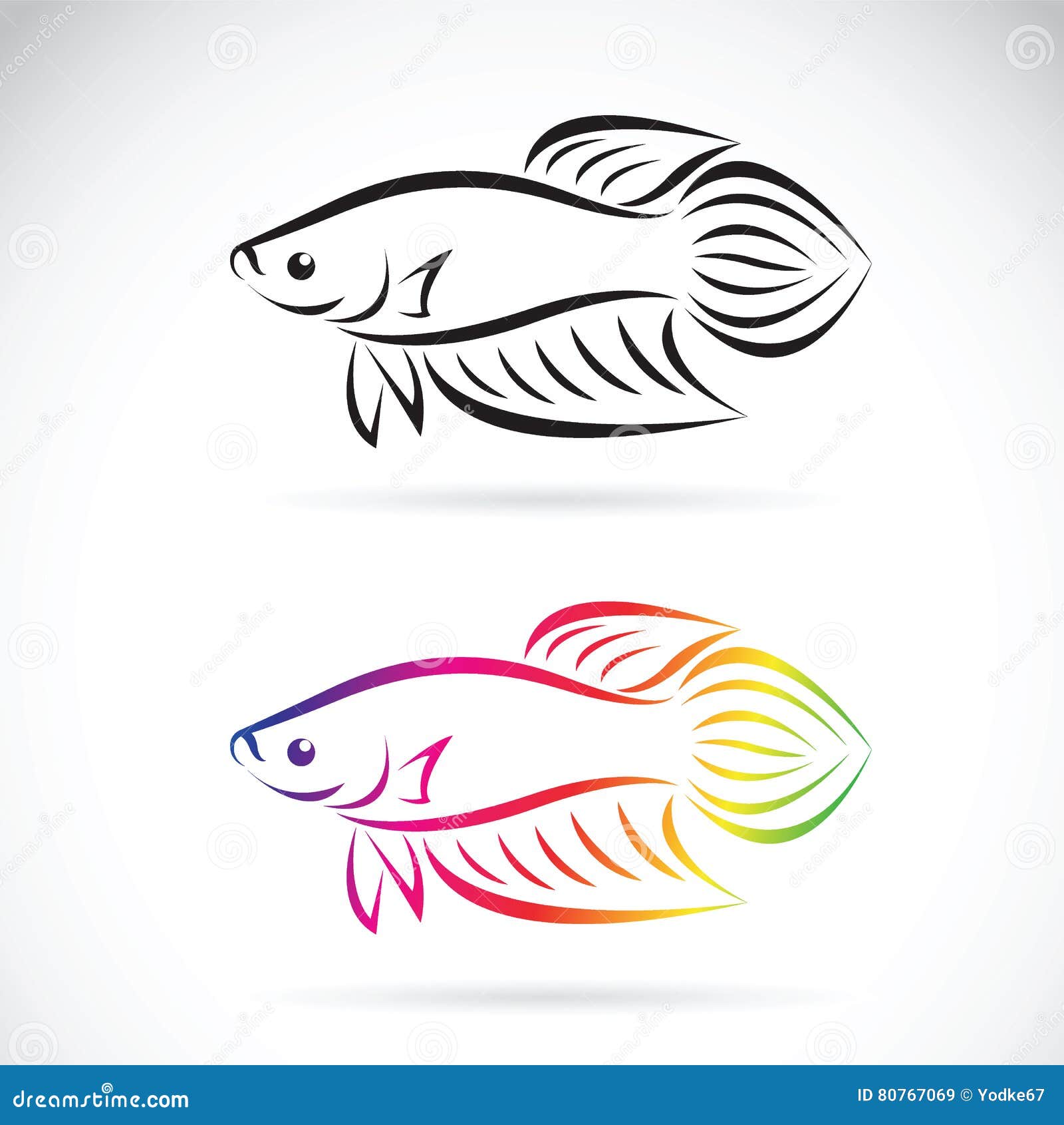 Fighting Fish Vector Illustration On White Background. | CartoonDealer ...