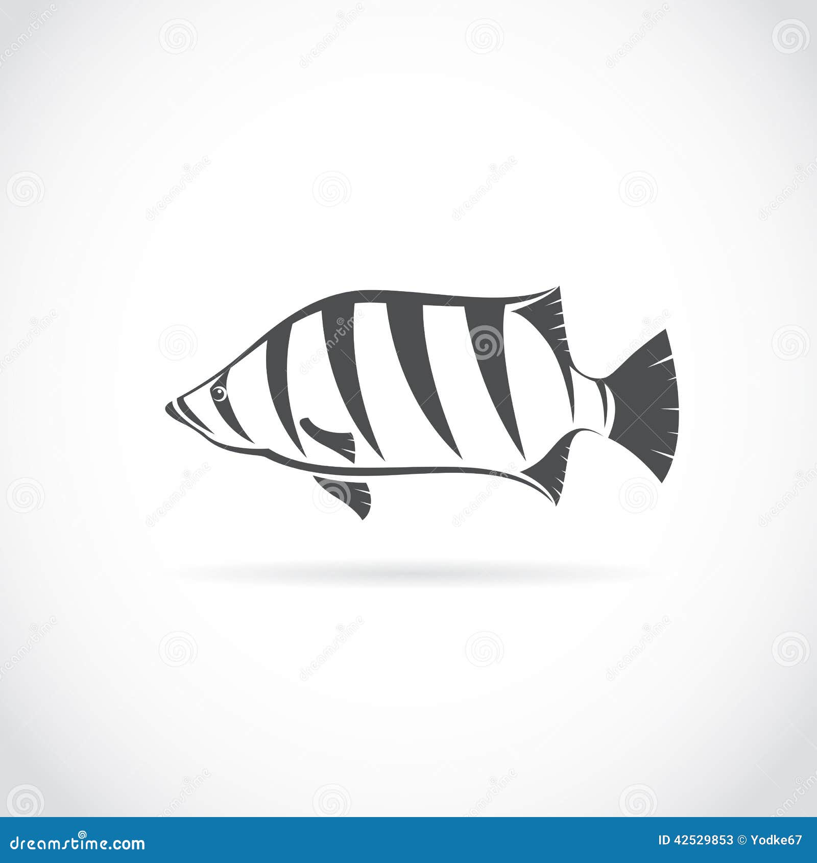 Vector Image of an Fish (Siamese Tiger Fish) Stock Vector ...