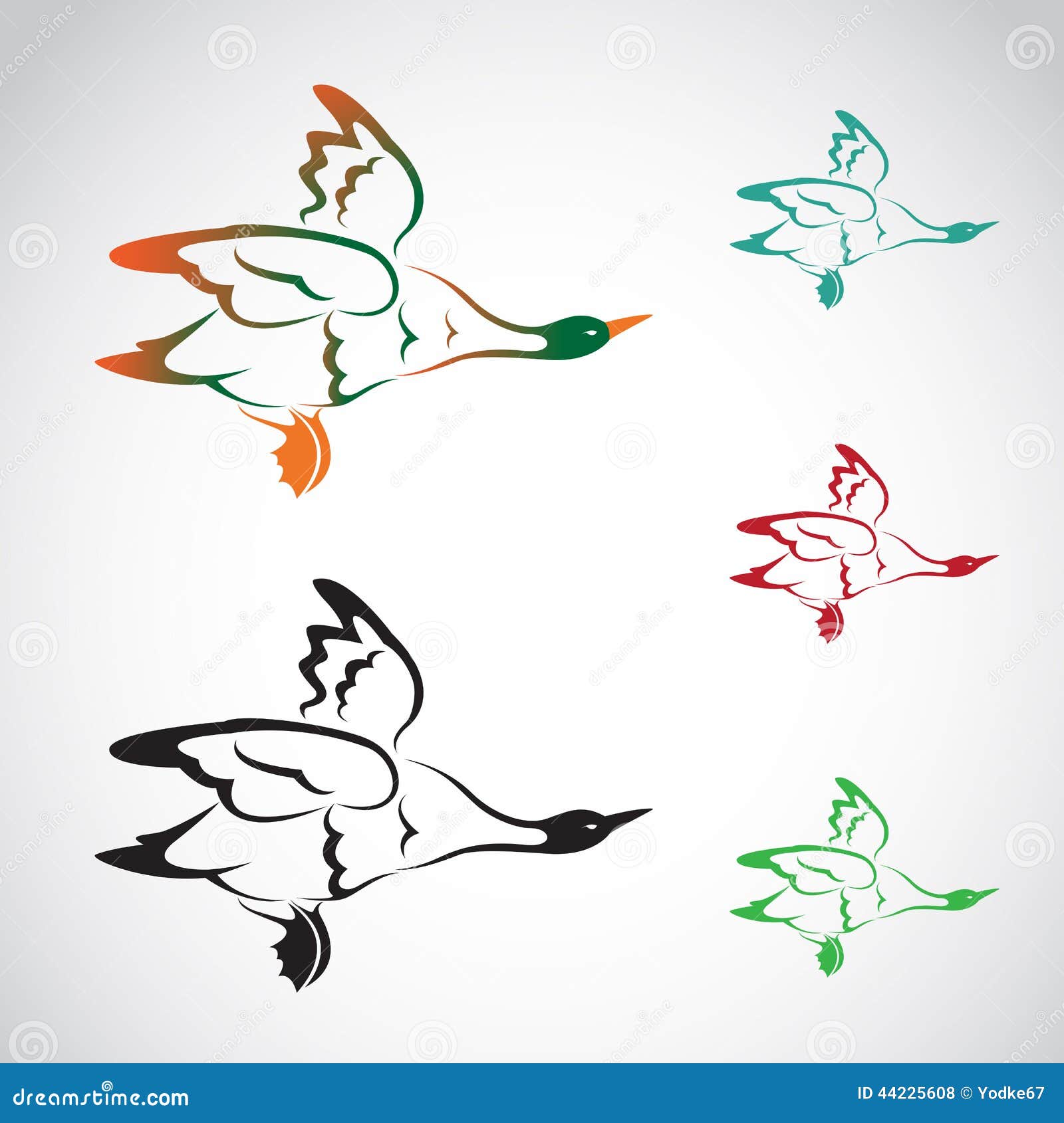 Flying Wild Duck Vector Illustration | CartoonDealer.com #36360432