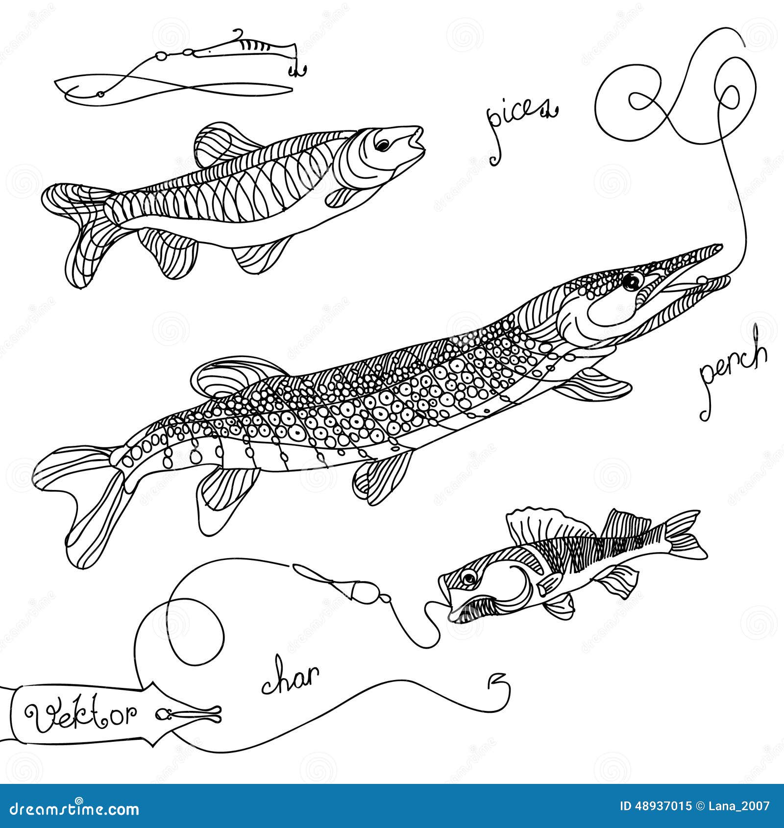 Vector Image of Freshwater Fish Stock Vector - Illustration of mining ...