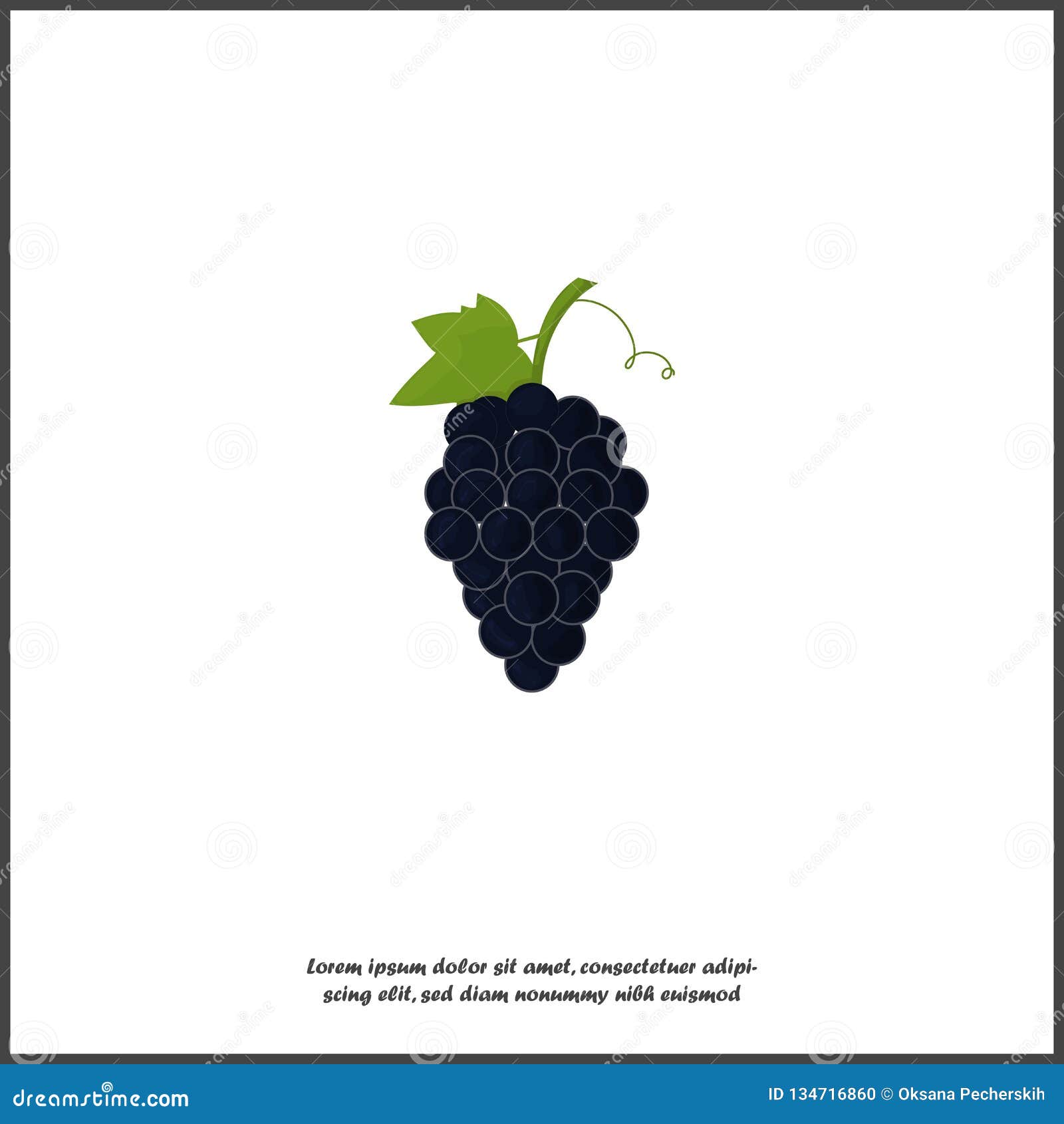 Vector Image Of Grapes On White Isolated Background. Layers Grouped For ...