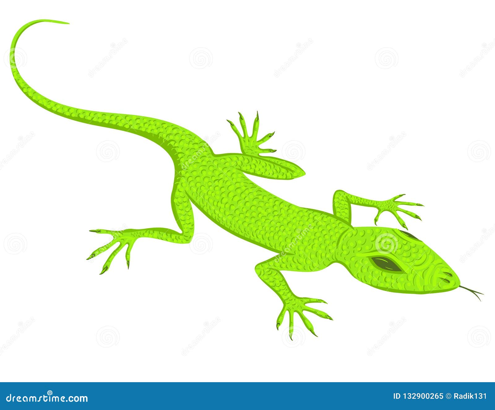 Green lizard stock vector. Illustration of wildlife - 132900265