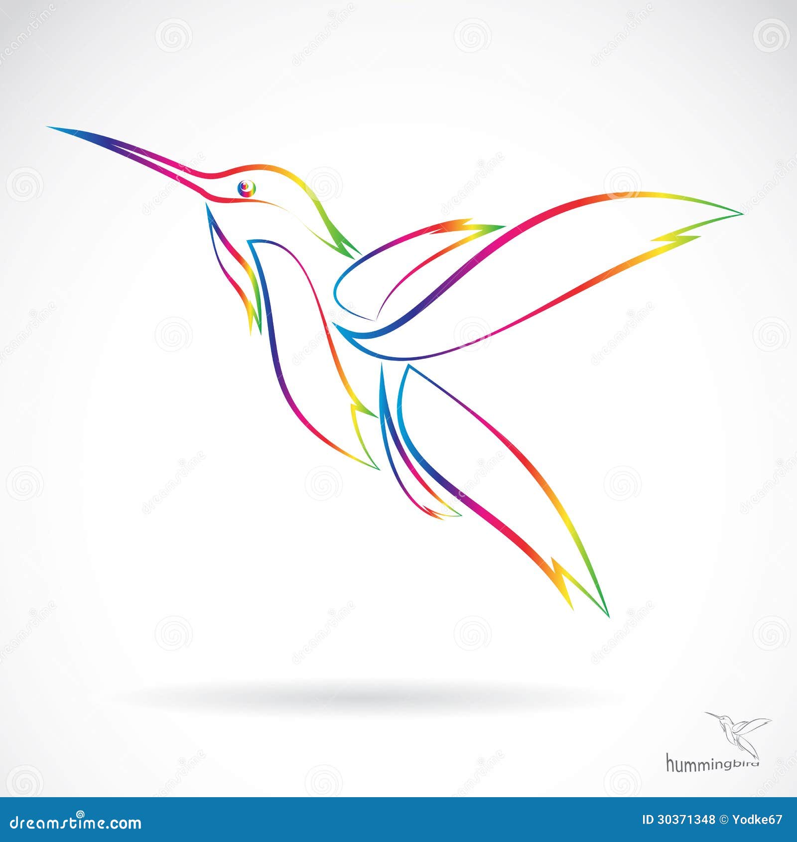 Vector Image of an Hummingbird Stock Vector - Illustration of beak ...