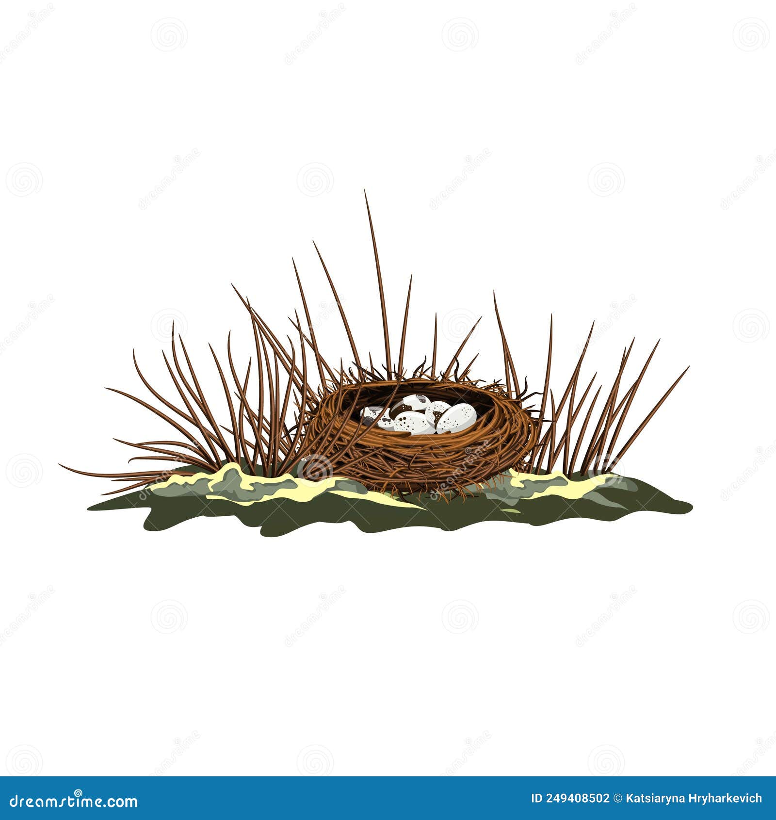 Isolated on White Background. a Bird`s Nest in the Branches of a Bush ...