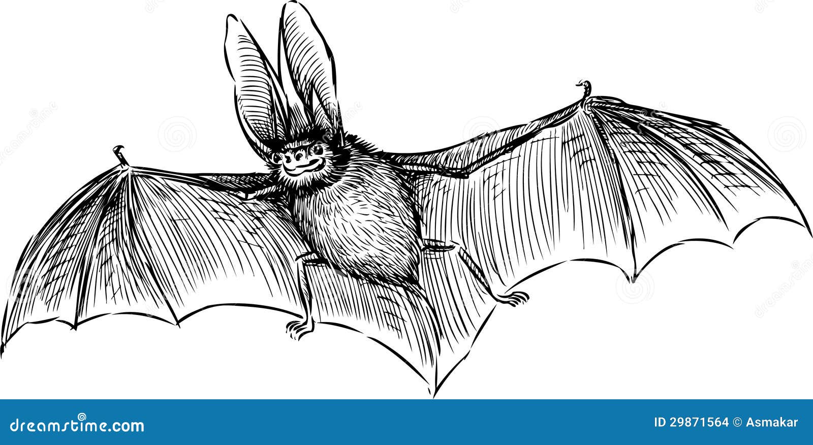 Bat stock vector. Illustration of scary, ears, wildlife - 29871564