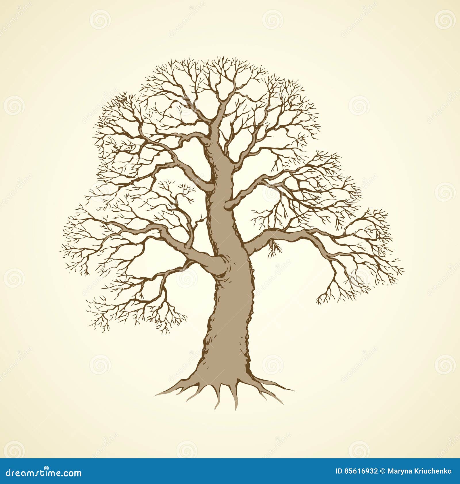 Vector Image of Mighty Tree with Bare Branches Stock Vector ...