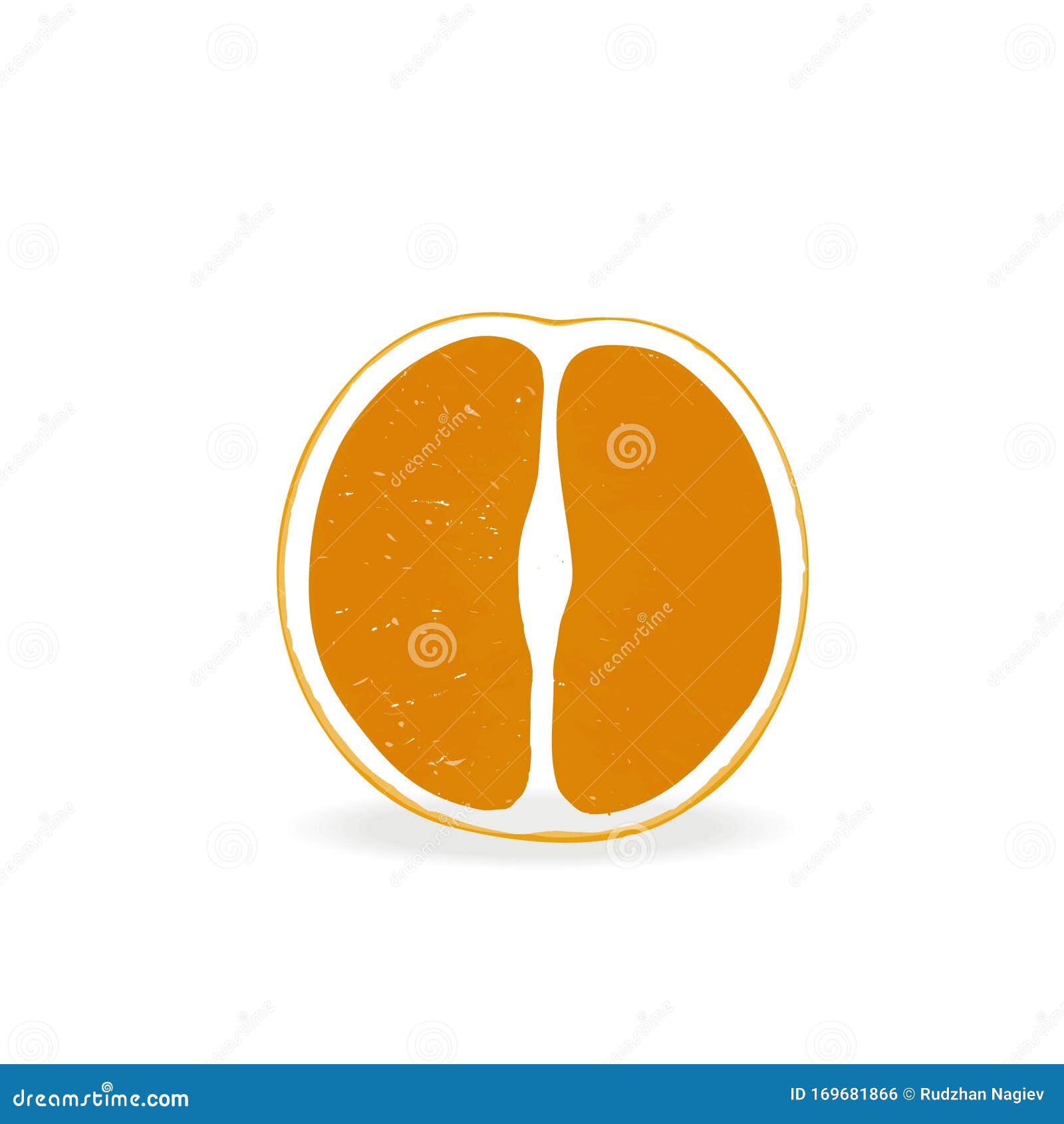 Vector Image of Orange Sliced in Half Vertically Stock Vector ...