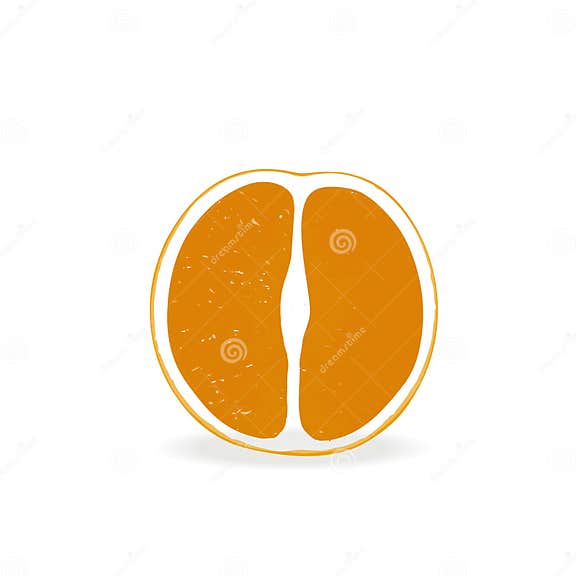 Vector Image of Orange Sliced in Half Vertically Stock Vector ...