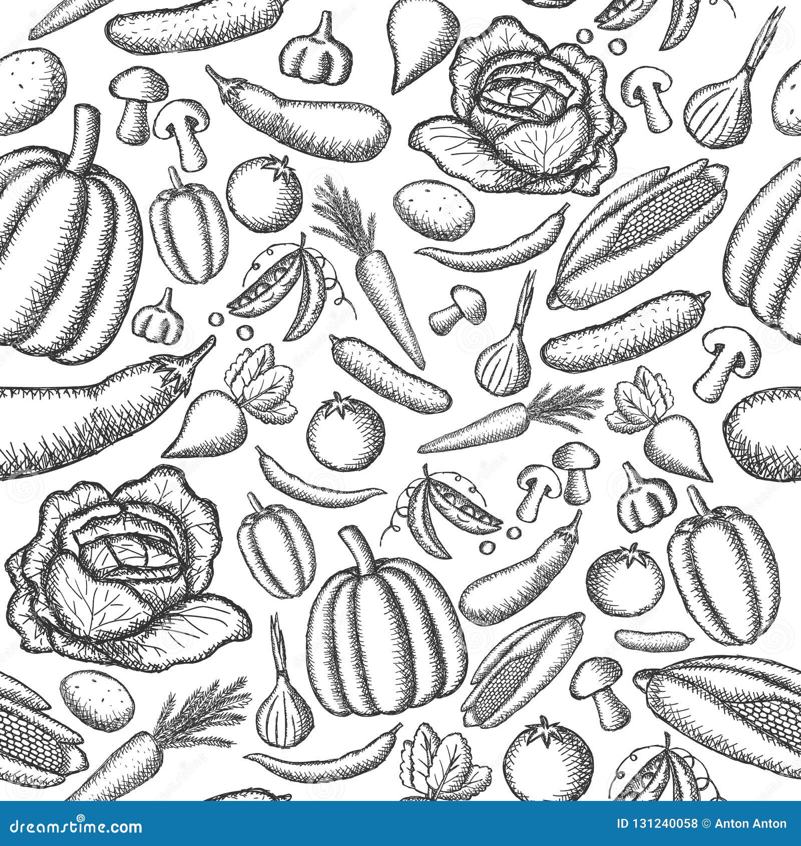 Vector Image of Painted Vegetables on a White Background. Graphic ...