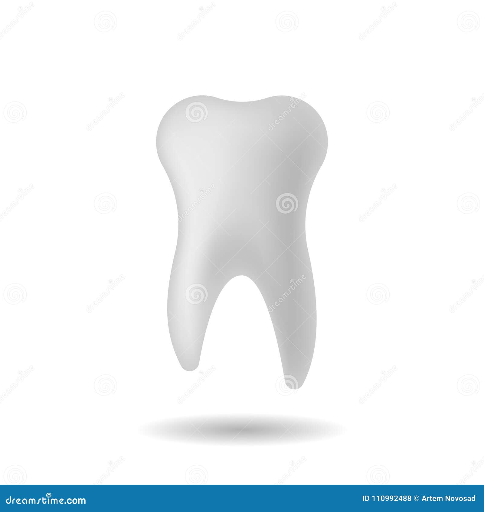 Vector Image of a Realistic Tooth with Shadows on a White Background ...