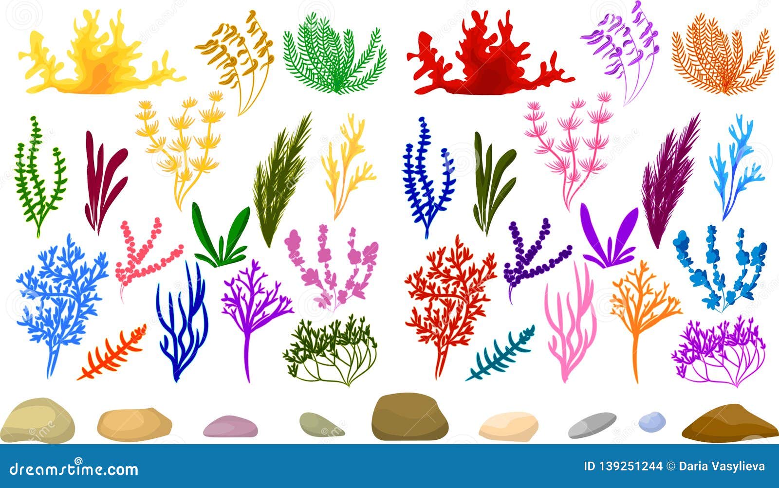 Seaweed Vector