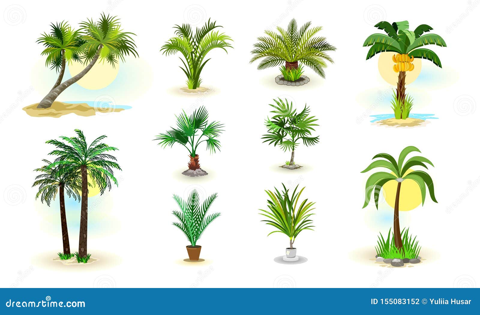 Vector Image Set of Different Examples of Green Palm Trees Stock Vector ...