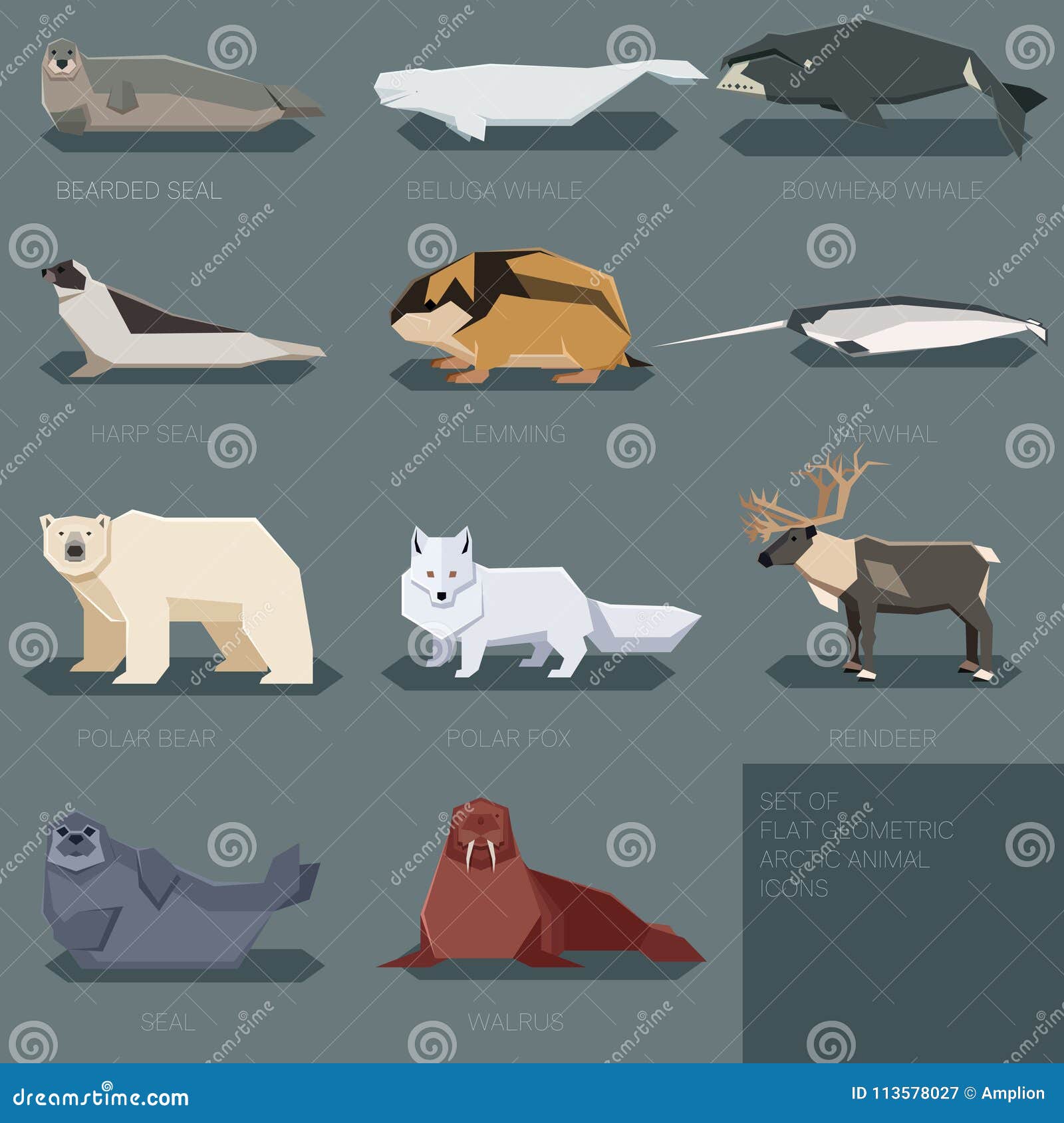 Animals Of The Arctic. Vector Set Of Polar Mammals And Birds ...