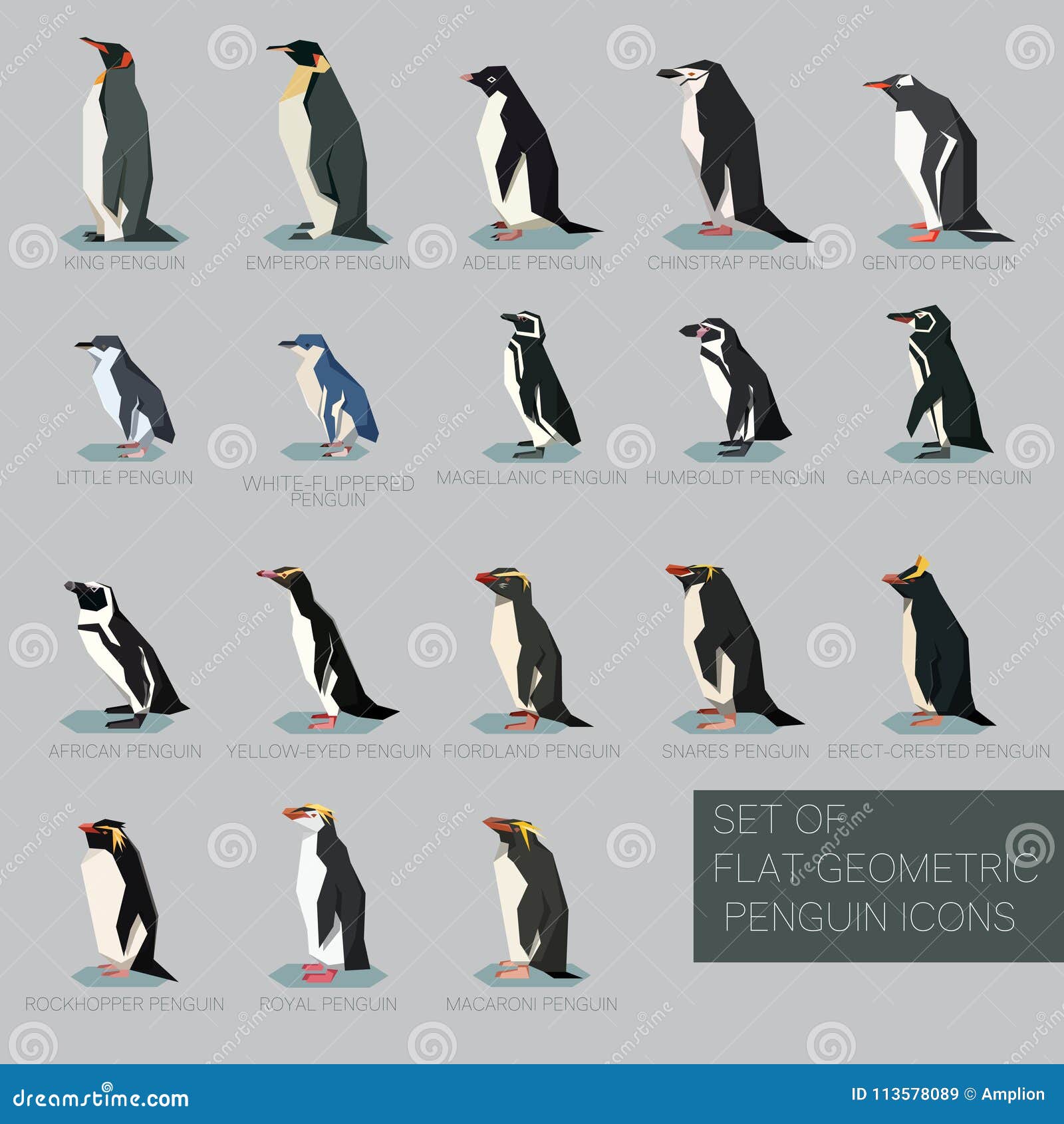 Set of Flat Geometric Species of Penguins Stock Vector - Illustration ...