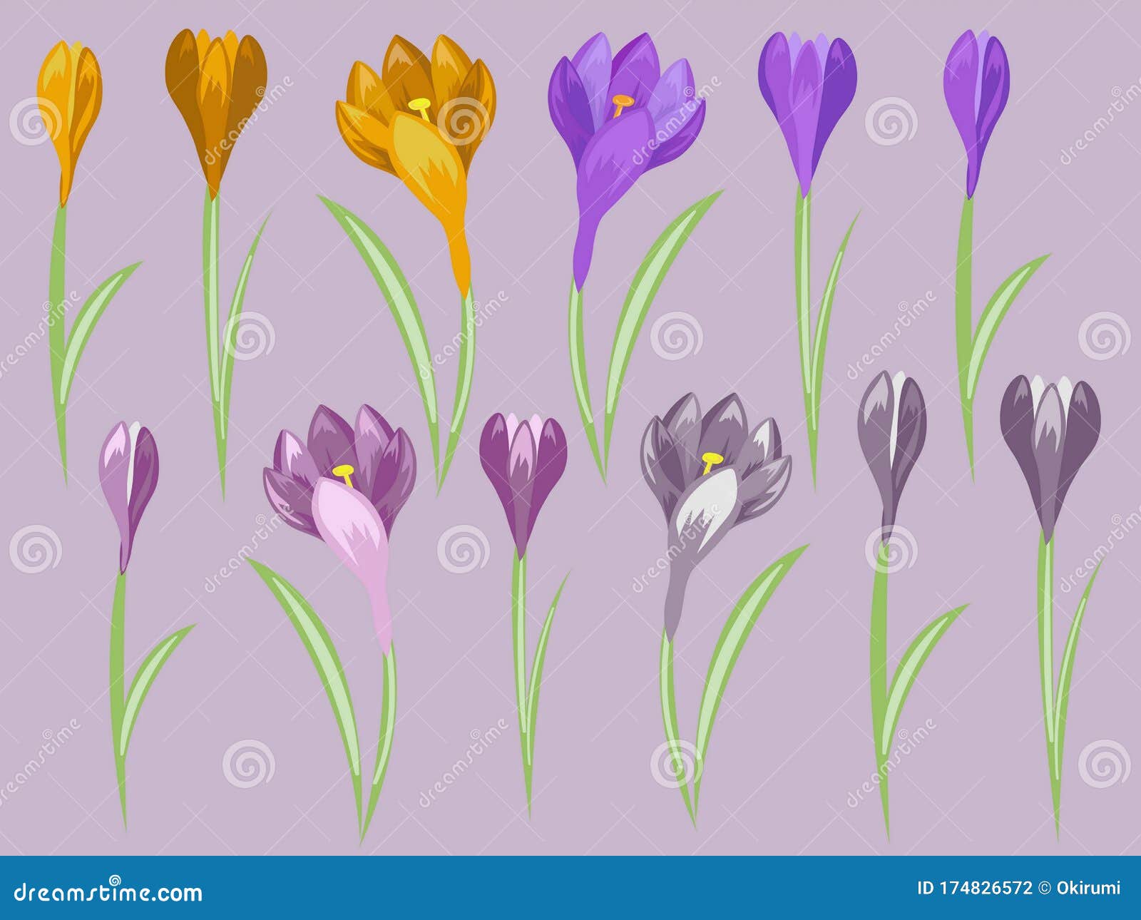 Flower Set Spring Flowers Crocus Stock Vector - Illustration of botanic ...