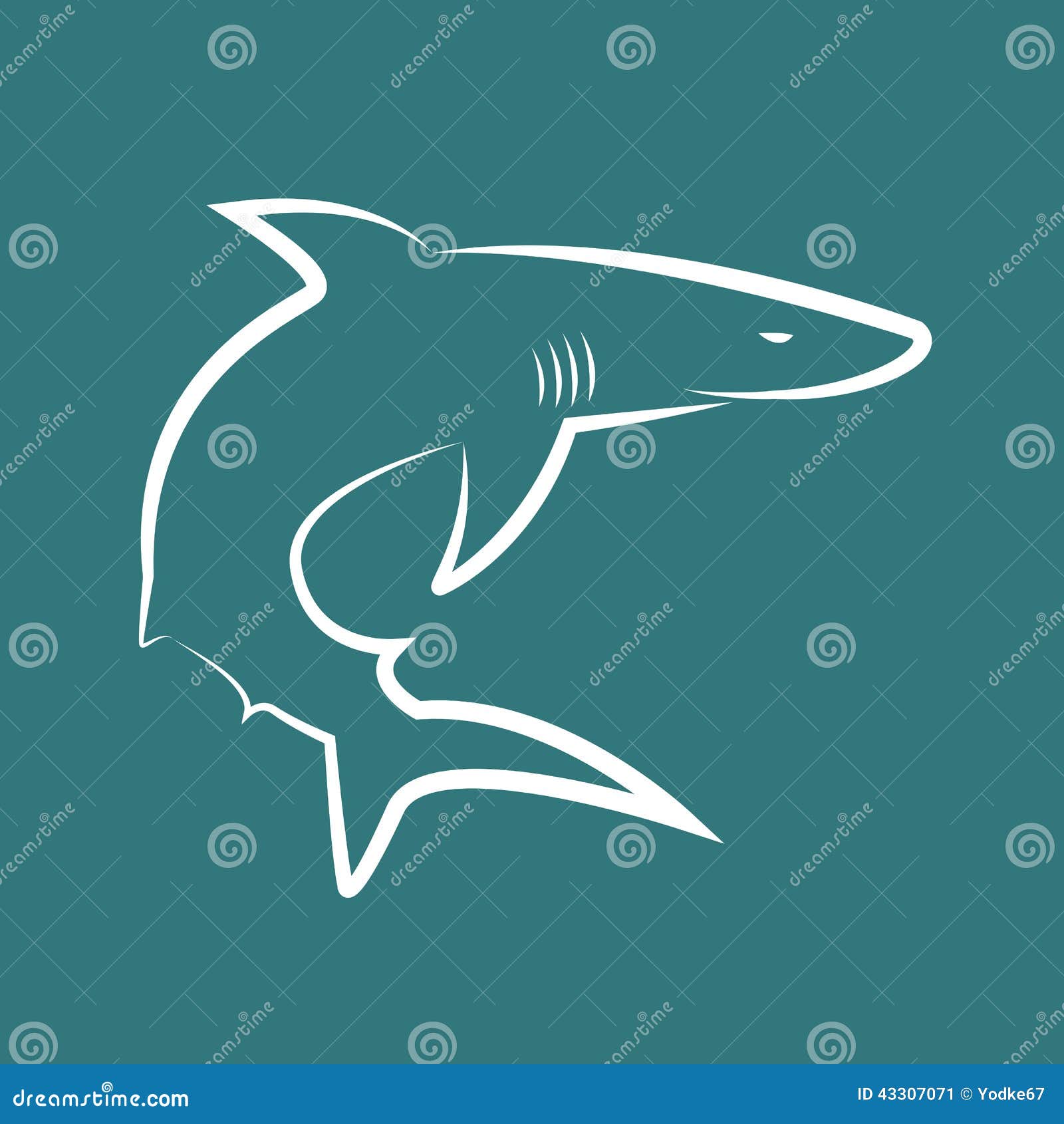 Image Set Of Sharks Vector Illustration | CartoonDealer.com #5329872