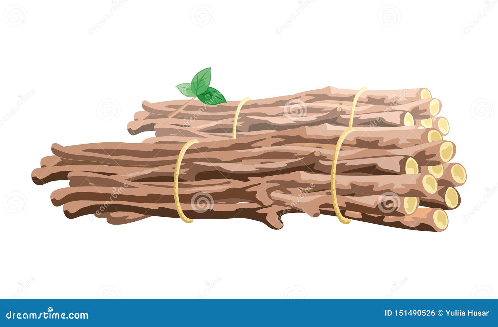 Vector Image Shows Brown Branches Stack Bound with Cord Stock Vector ...