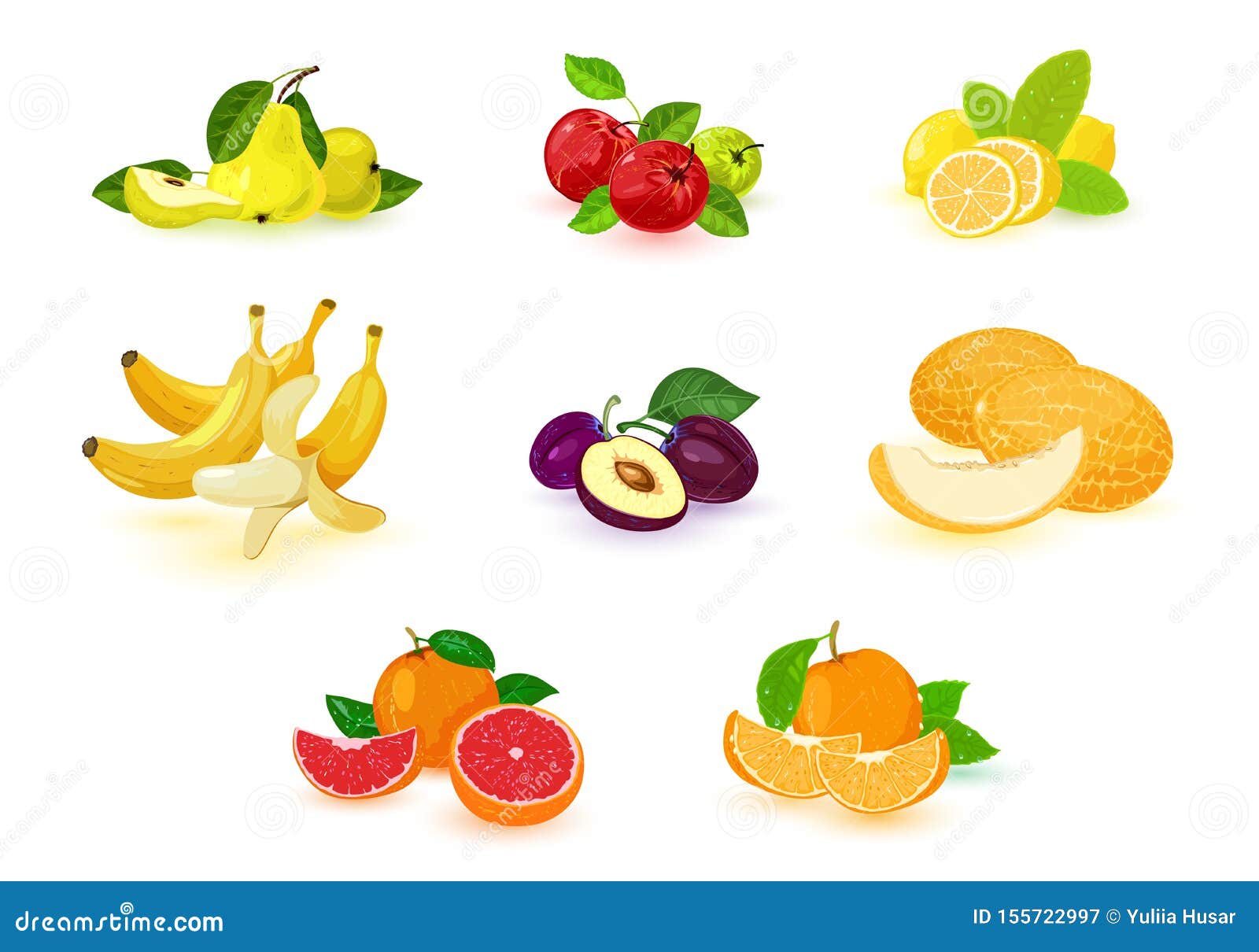 Vector Image Shows Examples Set of Fruits Isolated Stock Vector ...