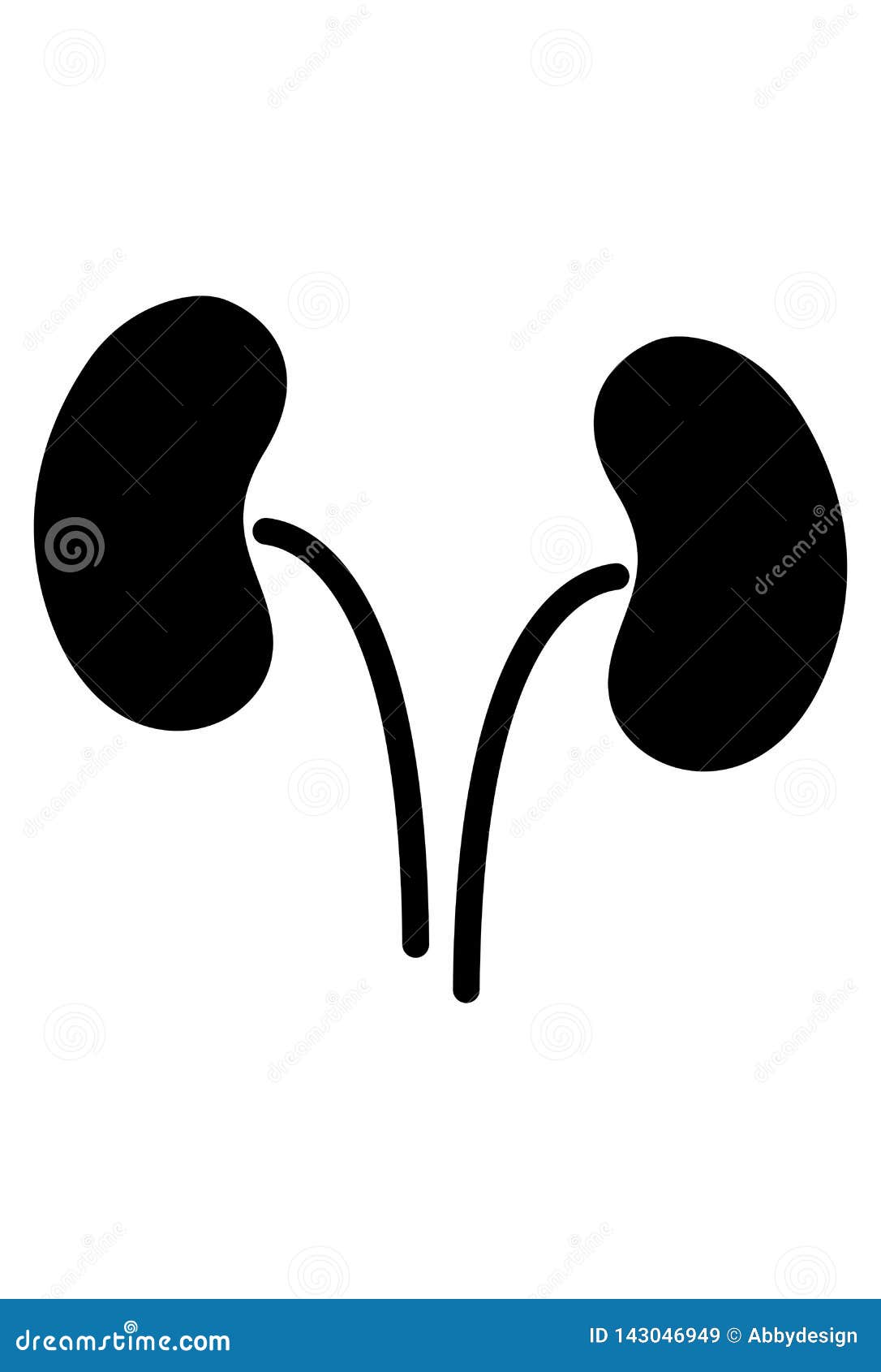Kidneys Icon Vector stock vector. Illustration of health - 143046949