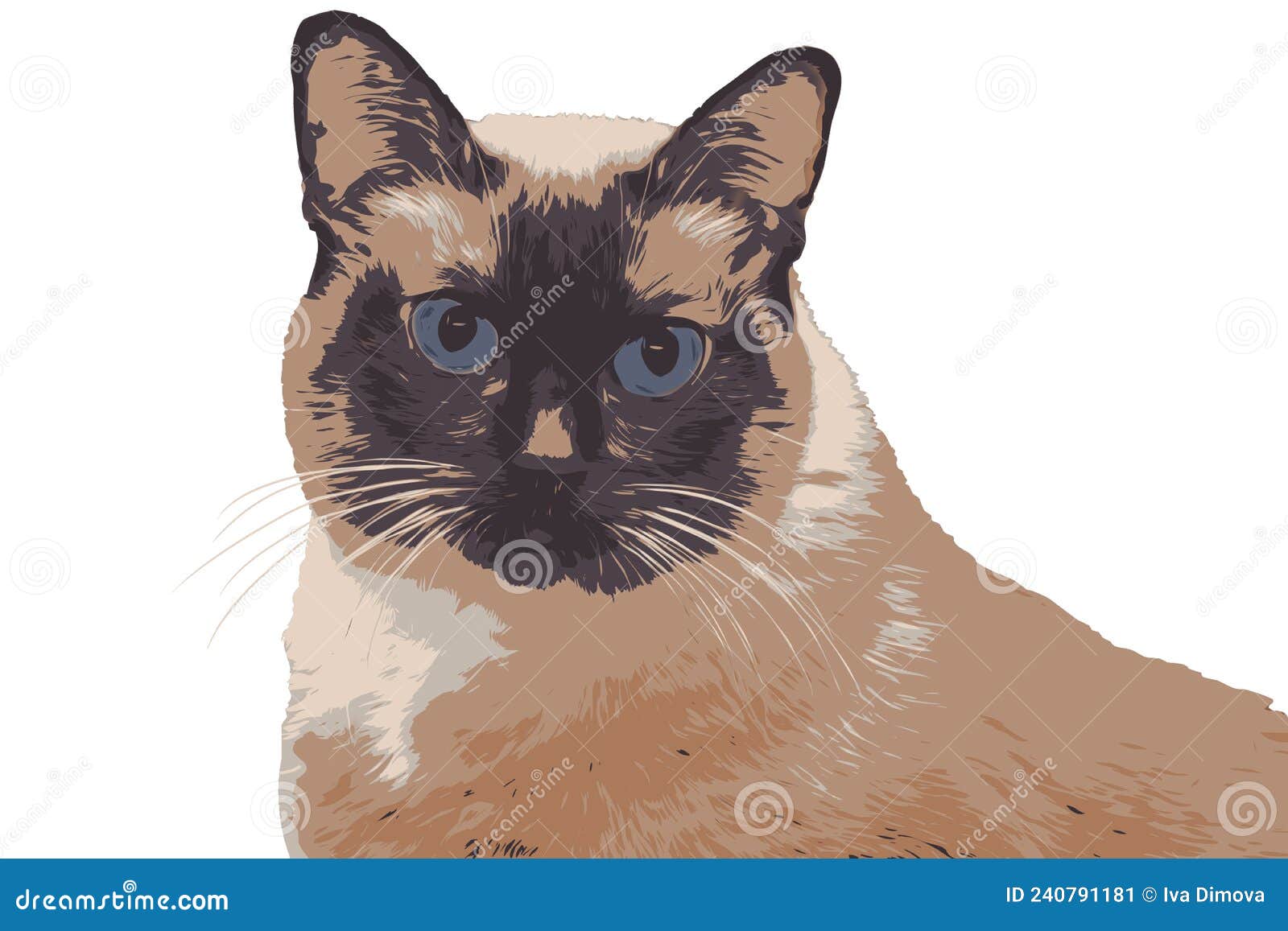 Vector Image of a Siamese Cat Stock Illustration - Illustration of cute ...