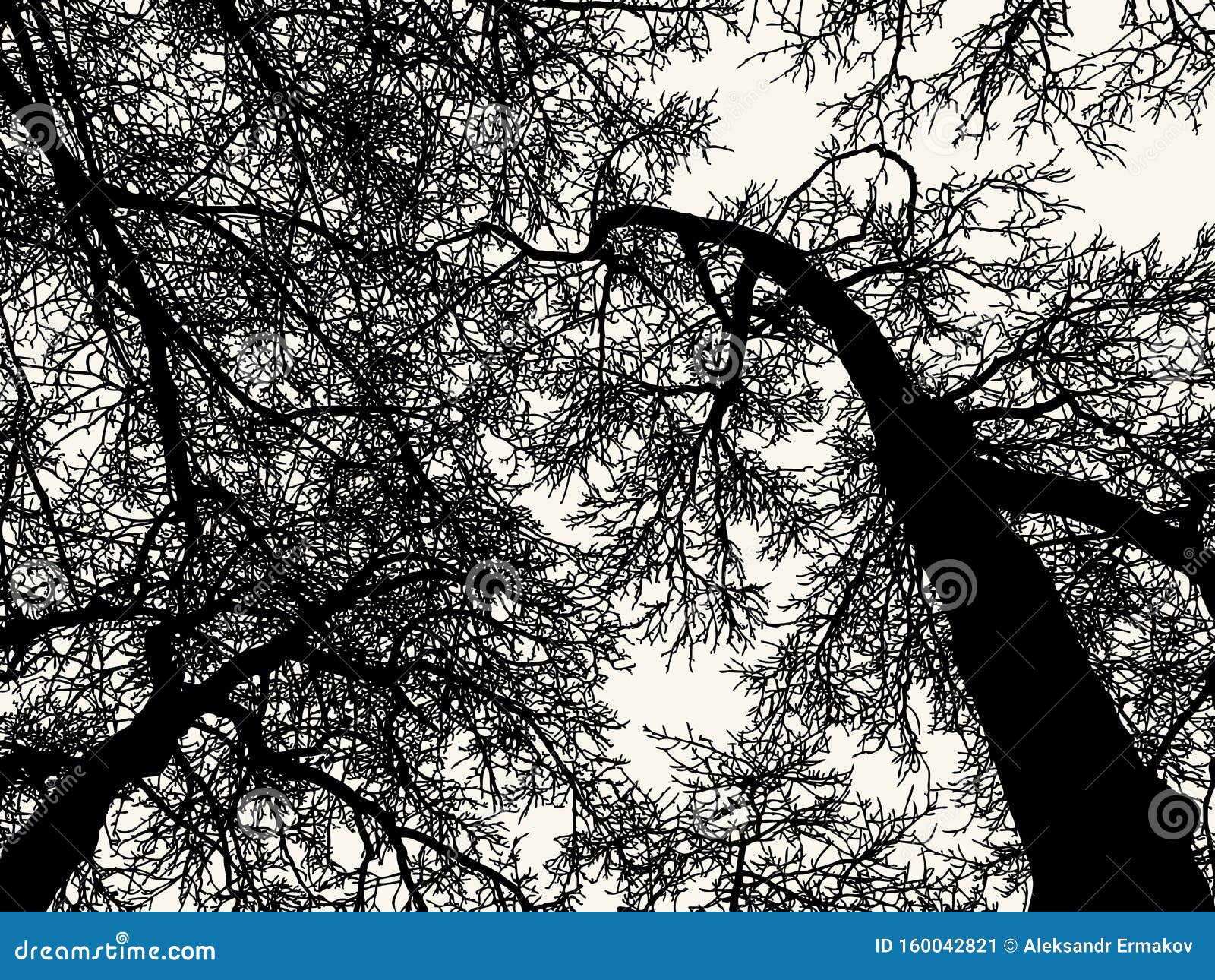 Vector Image of Silhouettes of Deciduous Trees in Winter Forest Stock ...