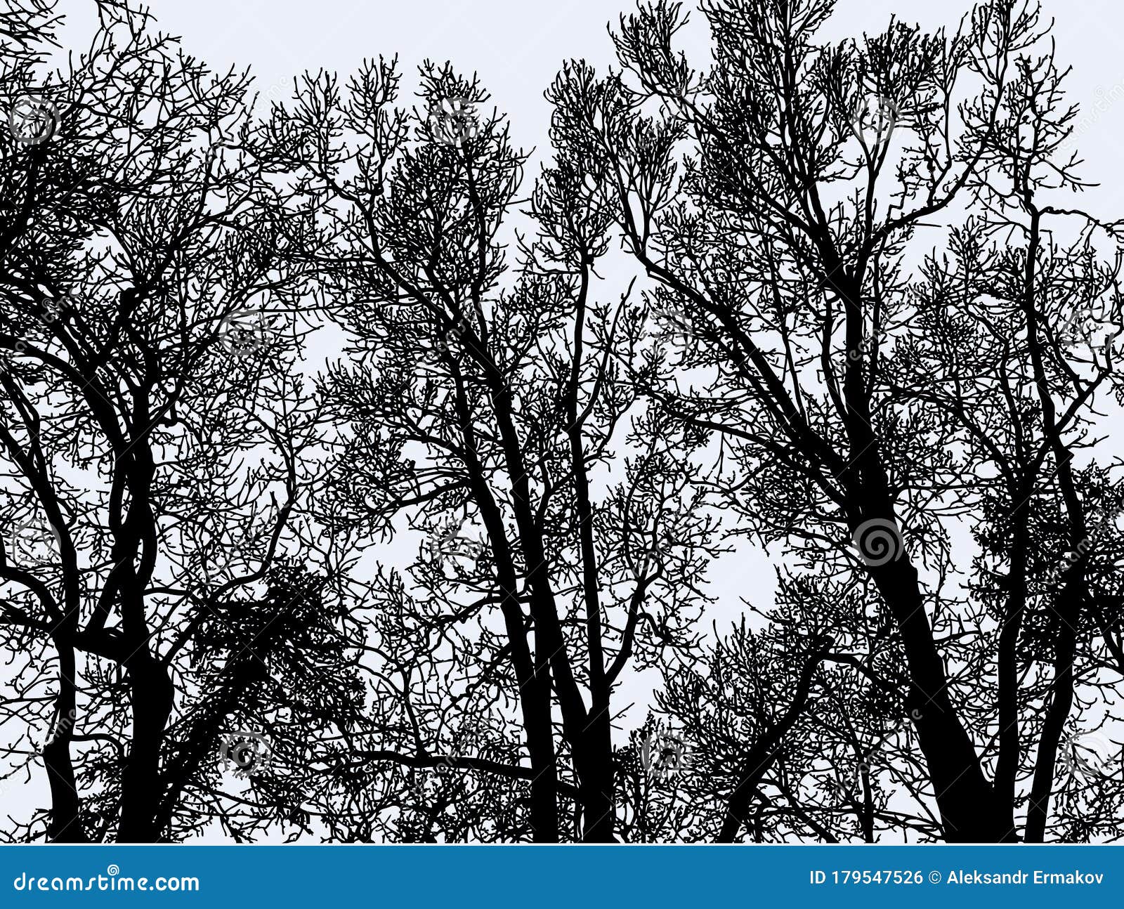 Vector Image of Silhouettes Trees in Winter Forest Stock Vector ...