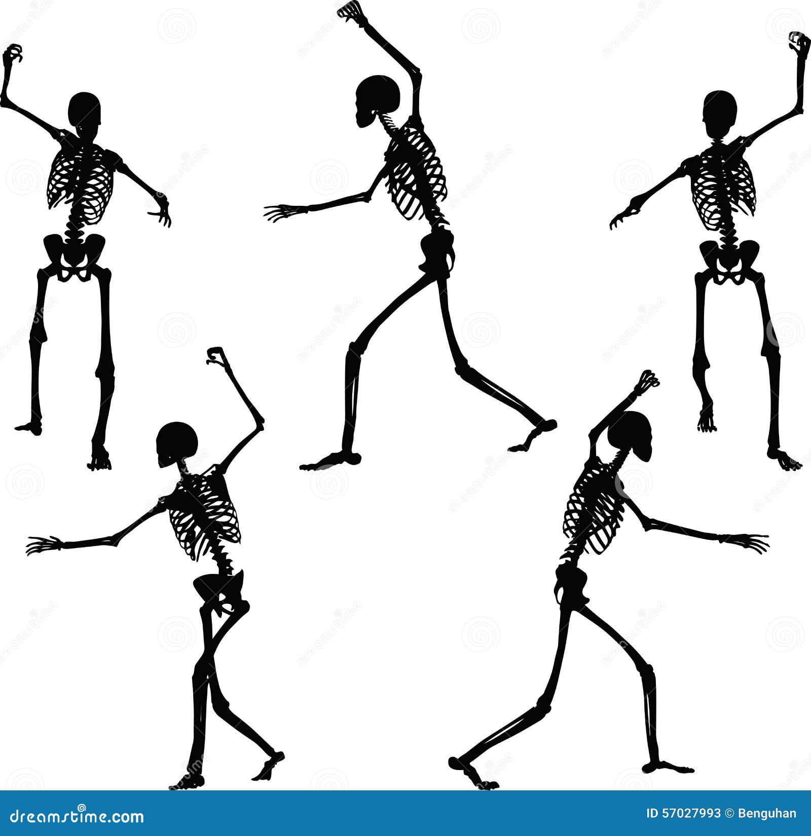 Vector Image - Skeleton Silhouette in Intimidating Pose on White ...