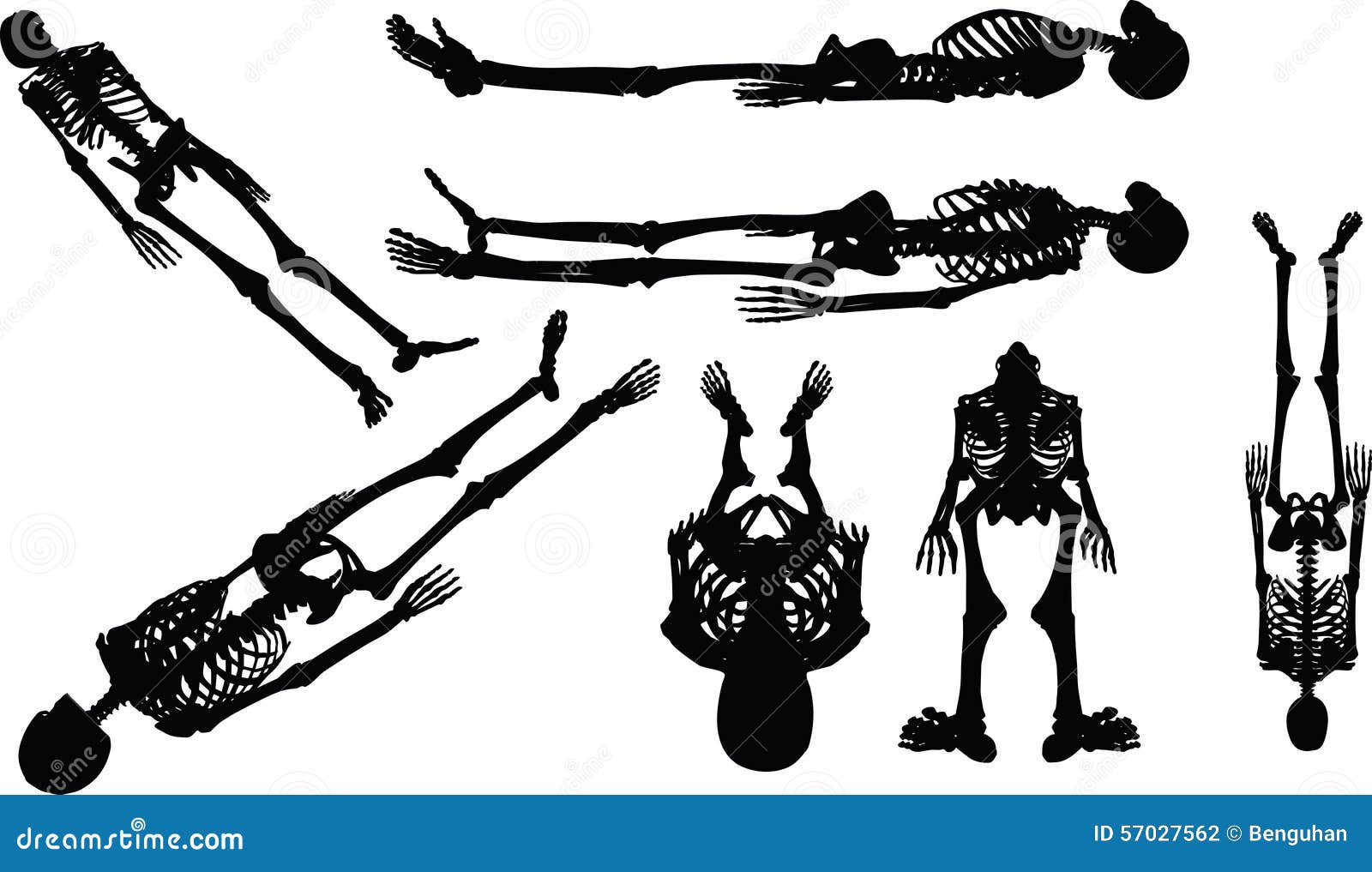 Vector Image - Skeleton Silhouette in Supine Pose on White Background ...