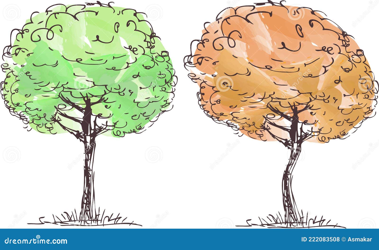 Vector Image of Sketches Deciduous Tree with Seasonal Foliage Stock ...