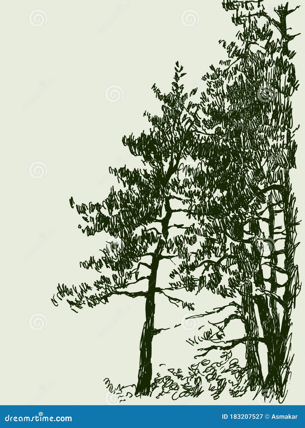 Vector Image of Sketches Fir Trees in Coniferous Forest Stock Vector ...