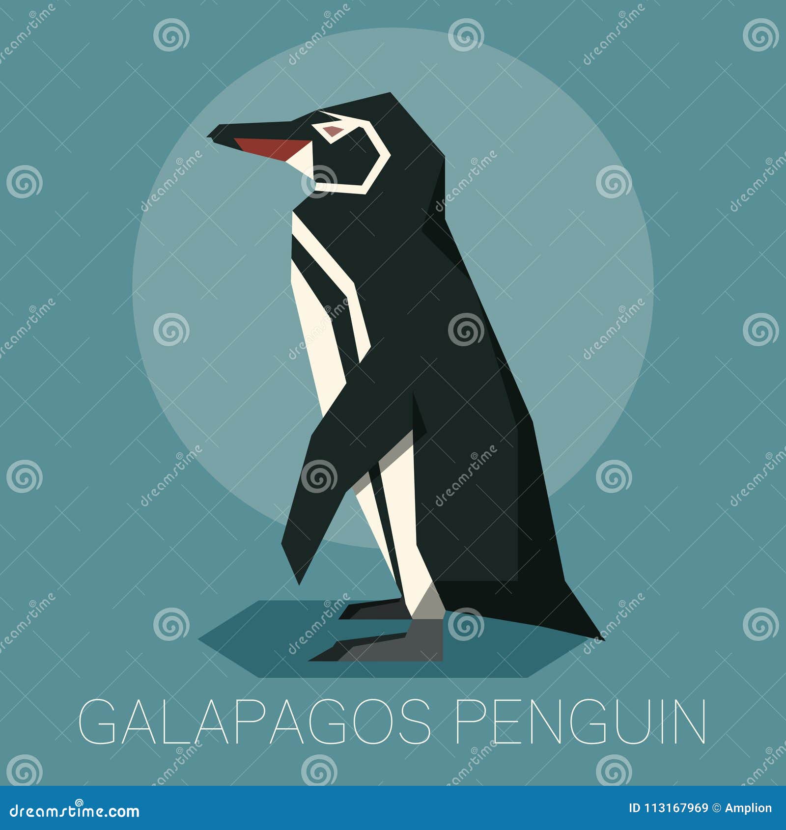 Flat Galapagos penguin stock vector. Illustration of cold - 113167969