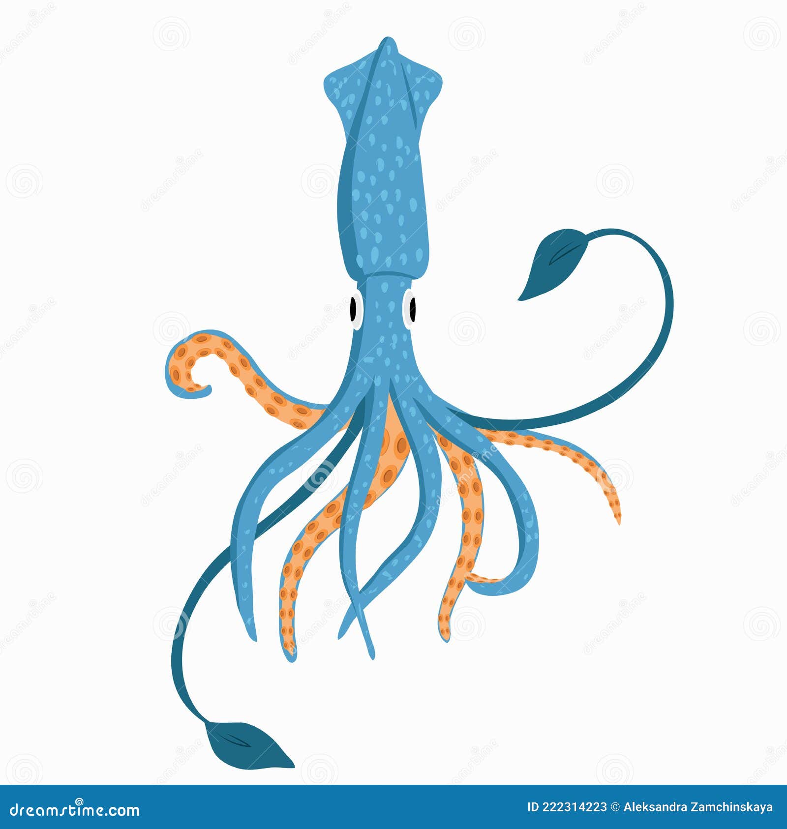 Vector Image of Squid, Isolated on White Background Stock Vector ...