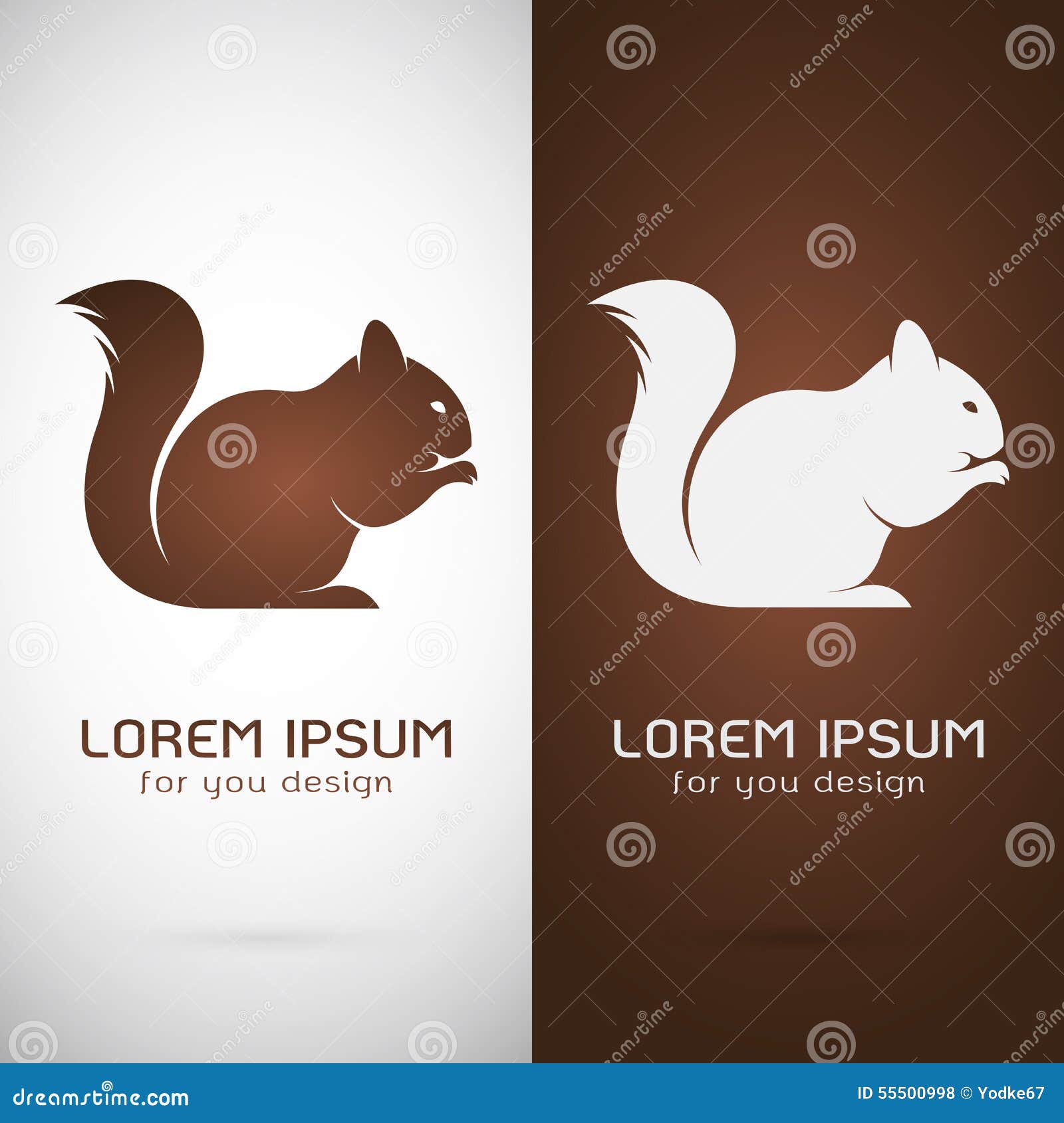 Vector Image of an Squirrel Design Stock Vector - Illustration of ...