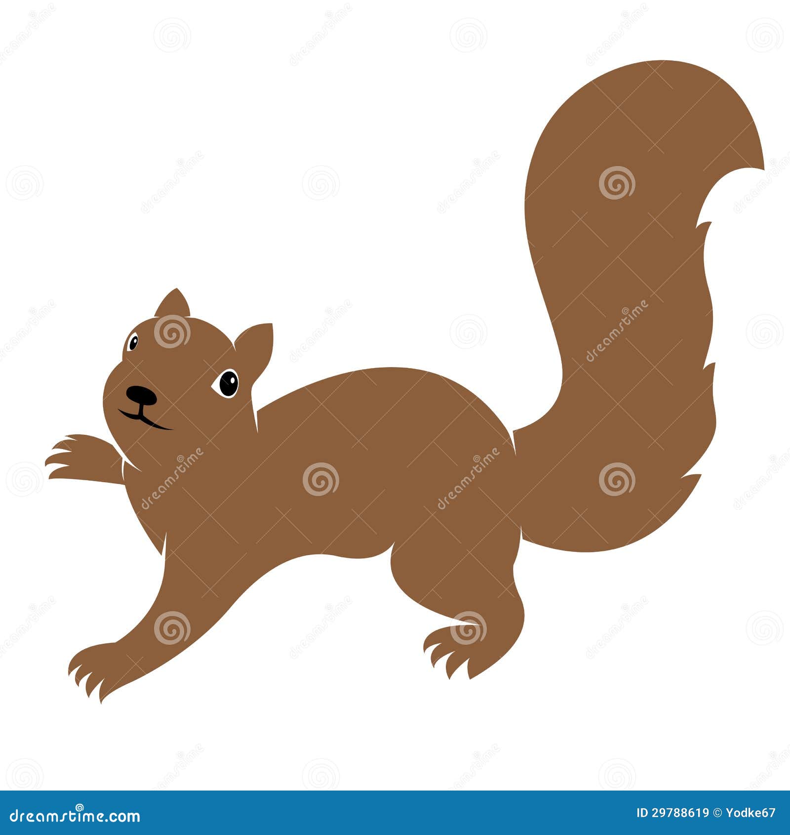 Vector Image of an Squirrel Stock Vector - Illustration of siberia ...