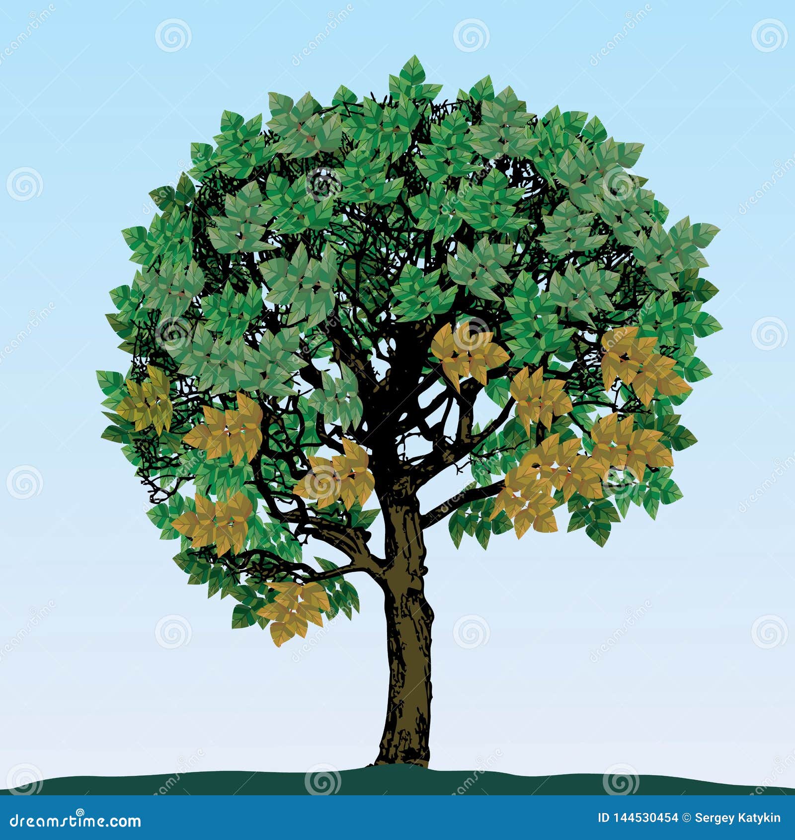Vector Image of a Tree with Green Foliage. Stock Vector - Illustration ...