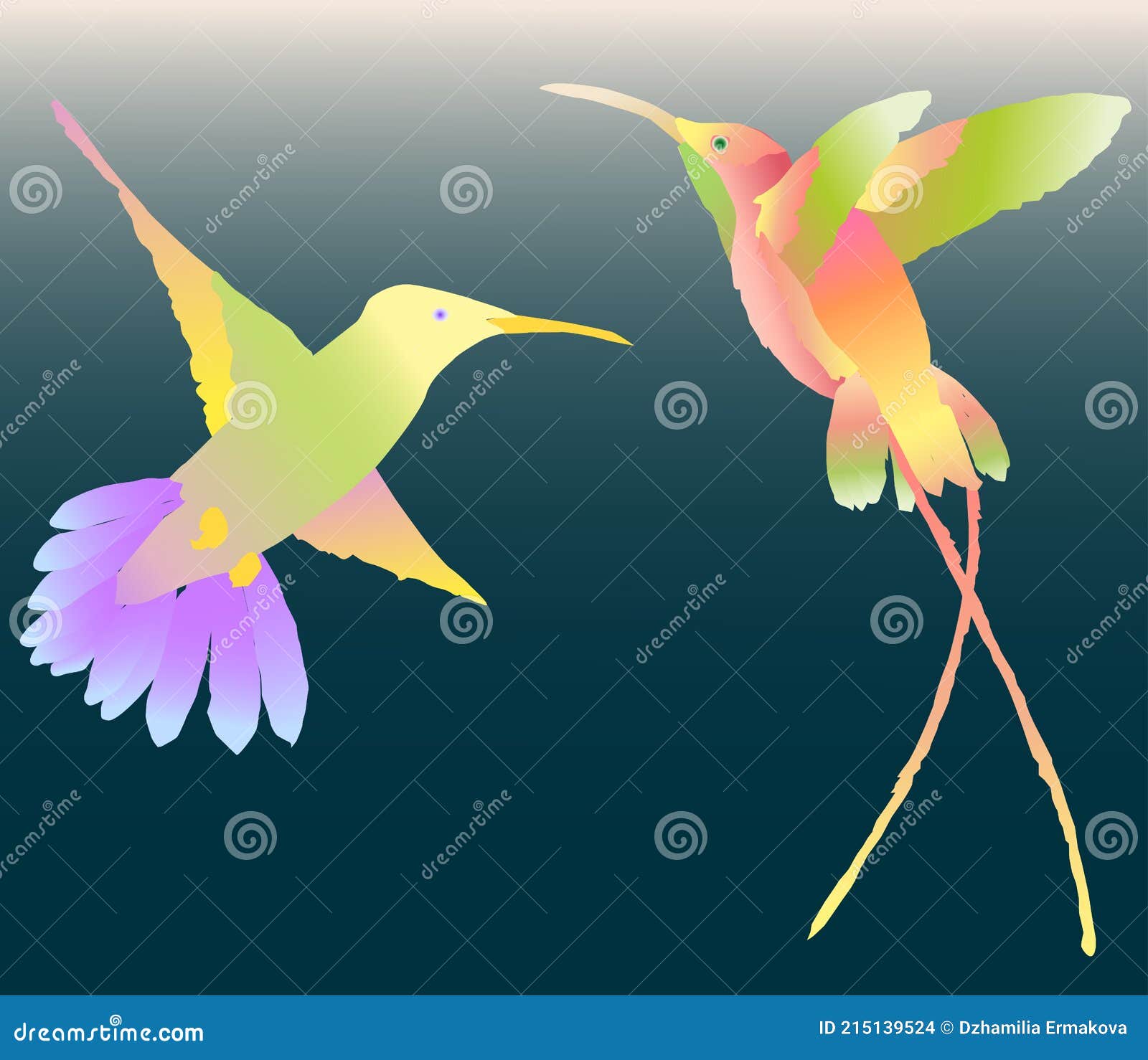 Vector Image of Two Colorful Flying Hummingbirds Stock Vector ...