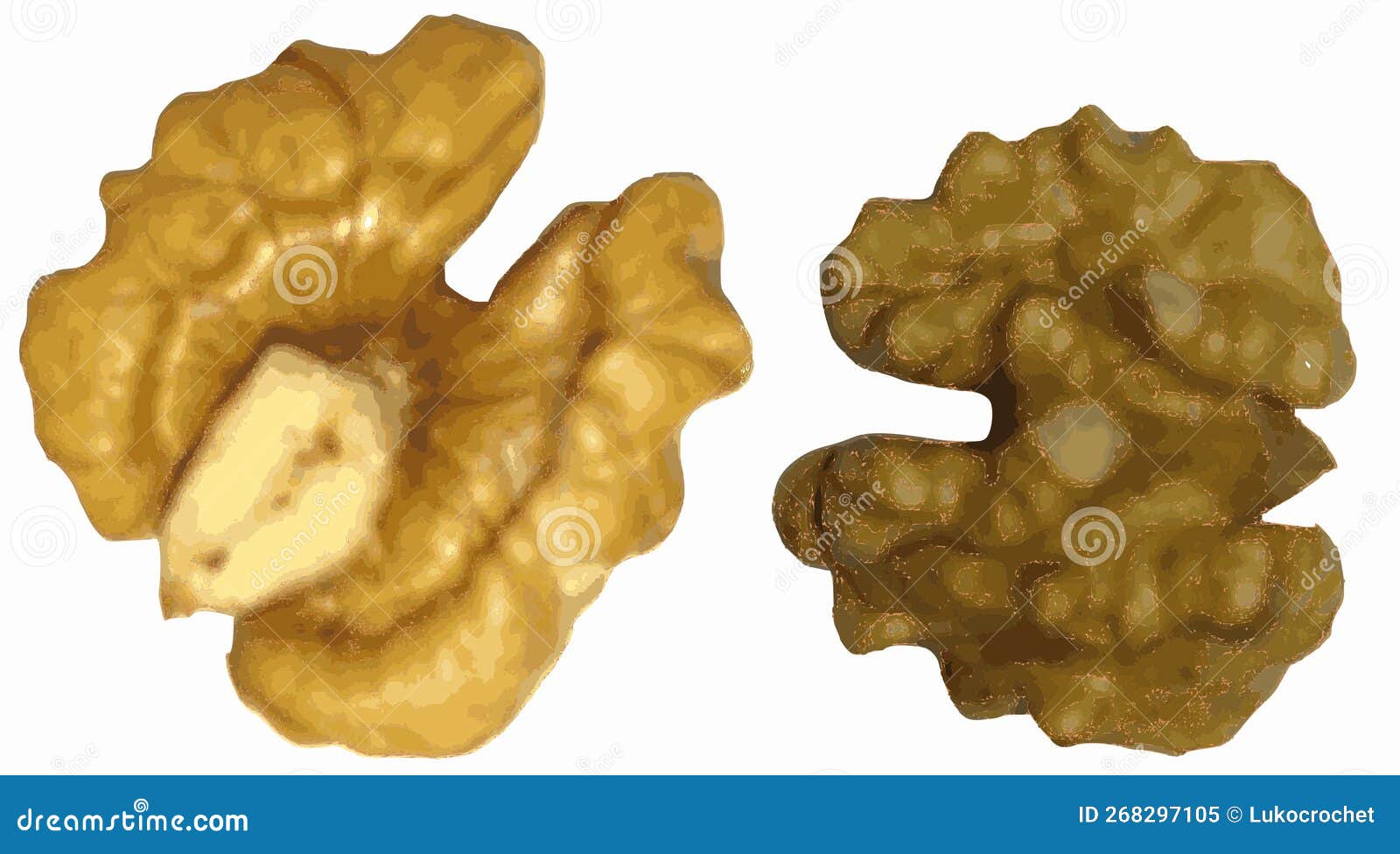 Walnut halves closeup stock vector. Illustration of vegan - 268297105