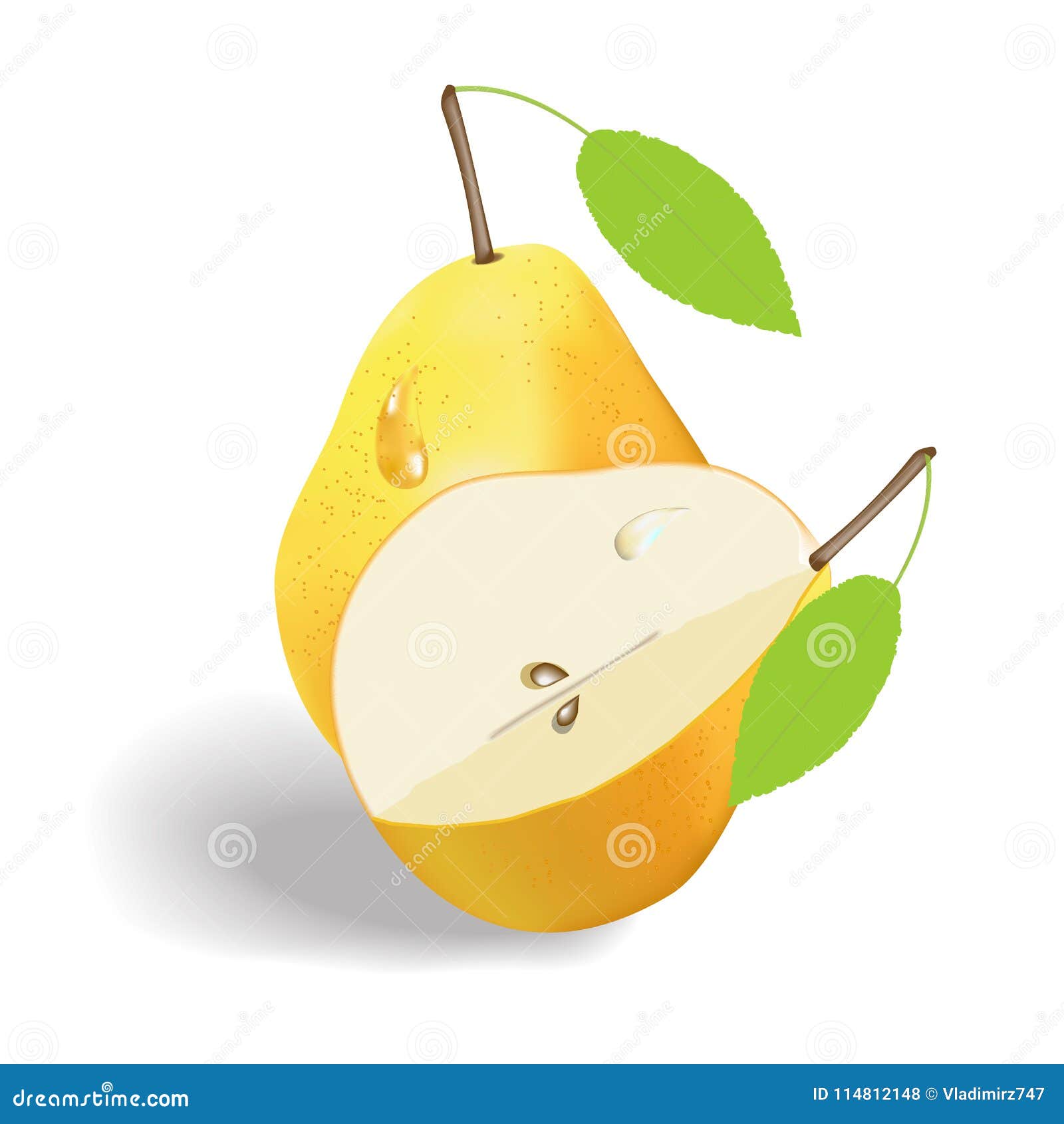 Vector Image of Two Yellow Pears Stock Vector - Illustration of berry ...