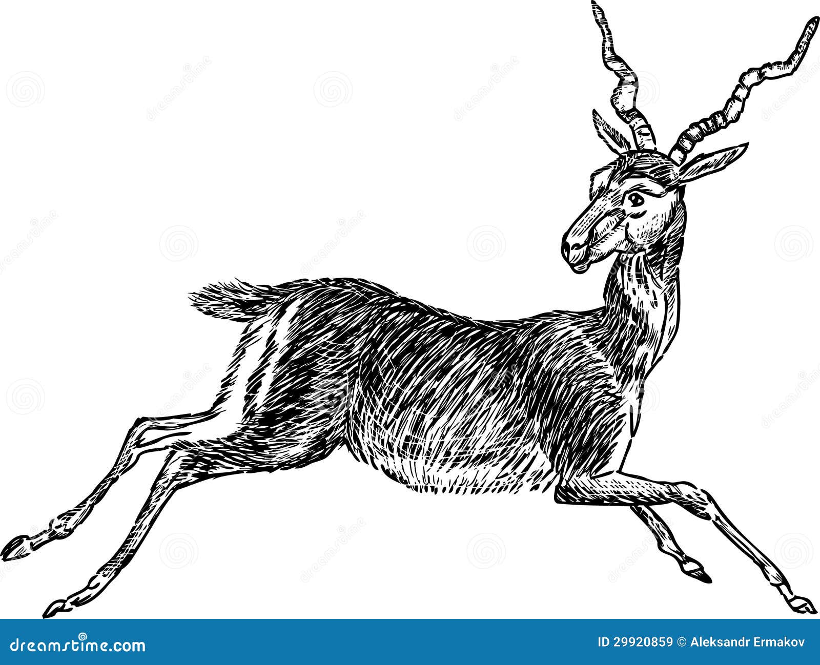 Running antelope stock vector. Illustration of hand, quick - 29920859